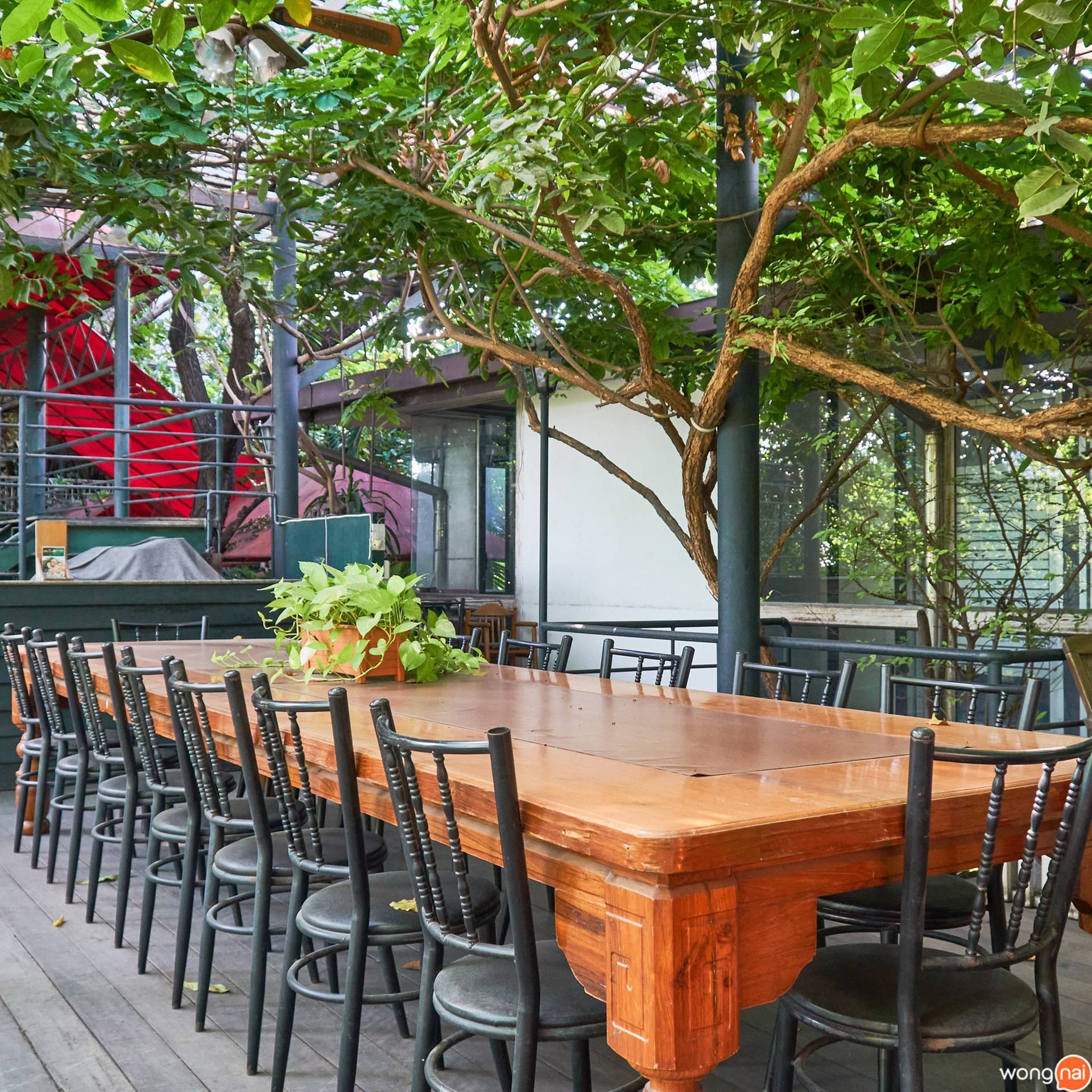 รูป ก้ามปู