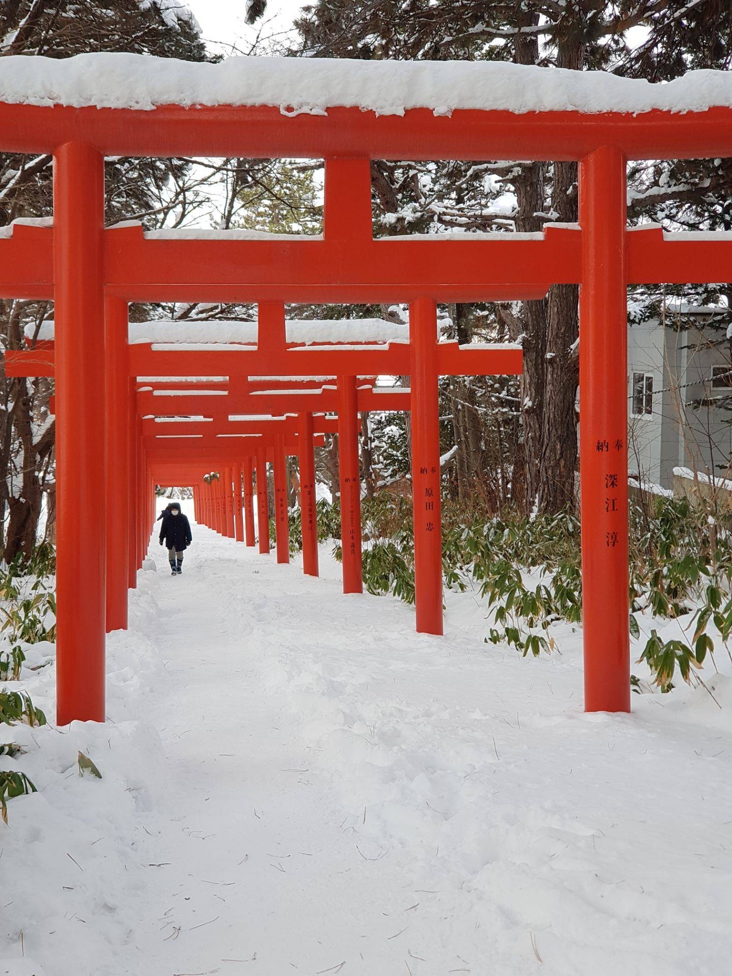 รูป Sapporo Fushimi Inari Shaire