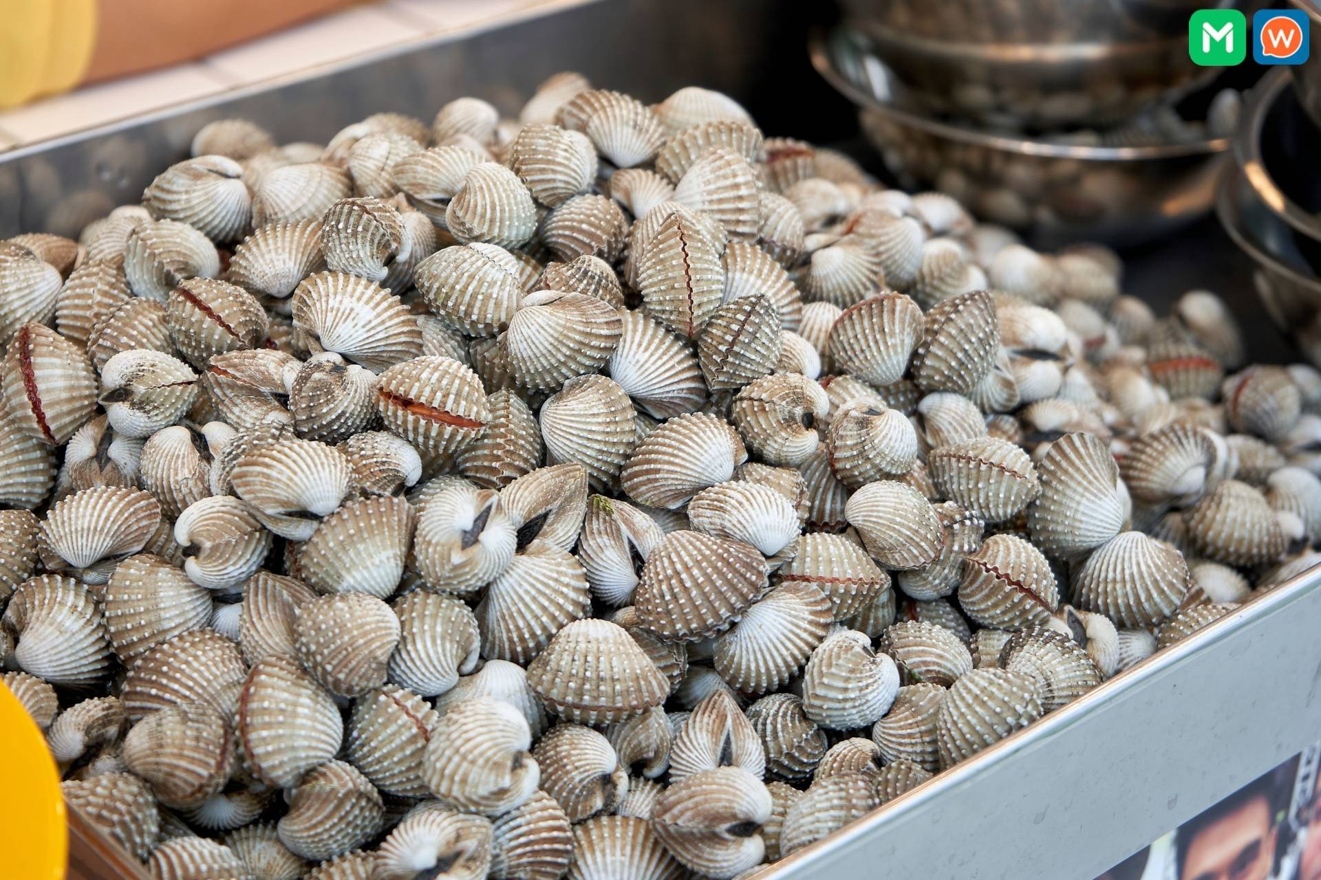 “ถนัดหอย” ร้านเด็ดเชี่ยวชาญด้านเมนูหอย สด สะอาด ส่งตรงจากท้องทะเลไทย