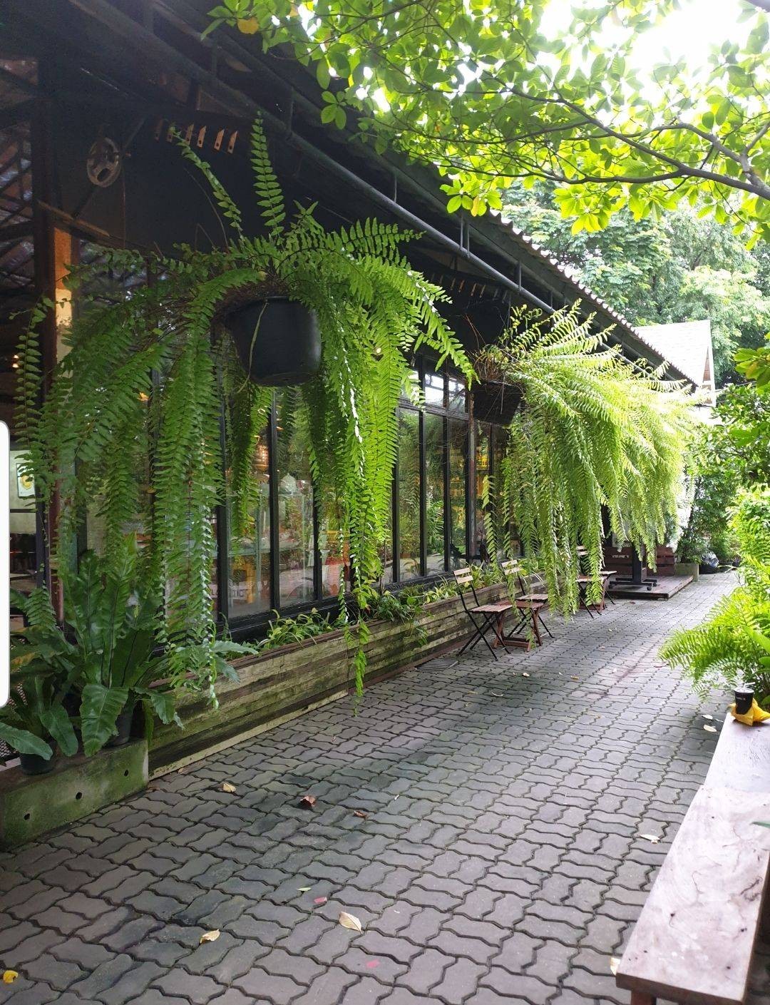 รีวิว Plantation Cafe - plantation cafe and roaster - Wongnai