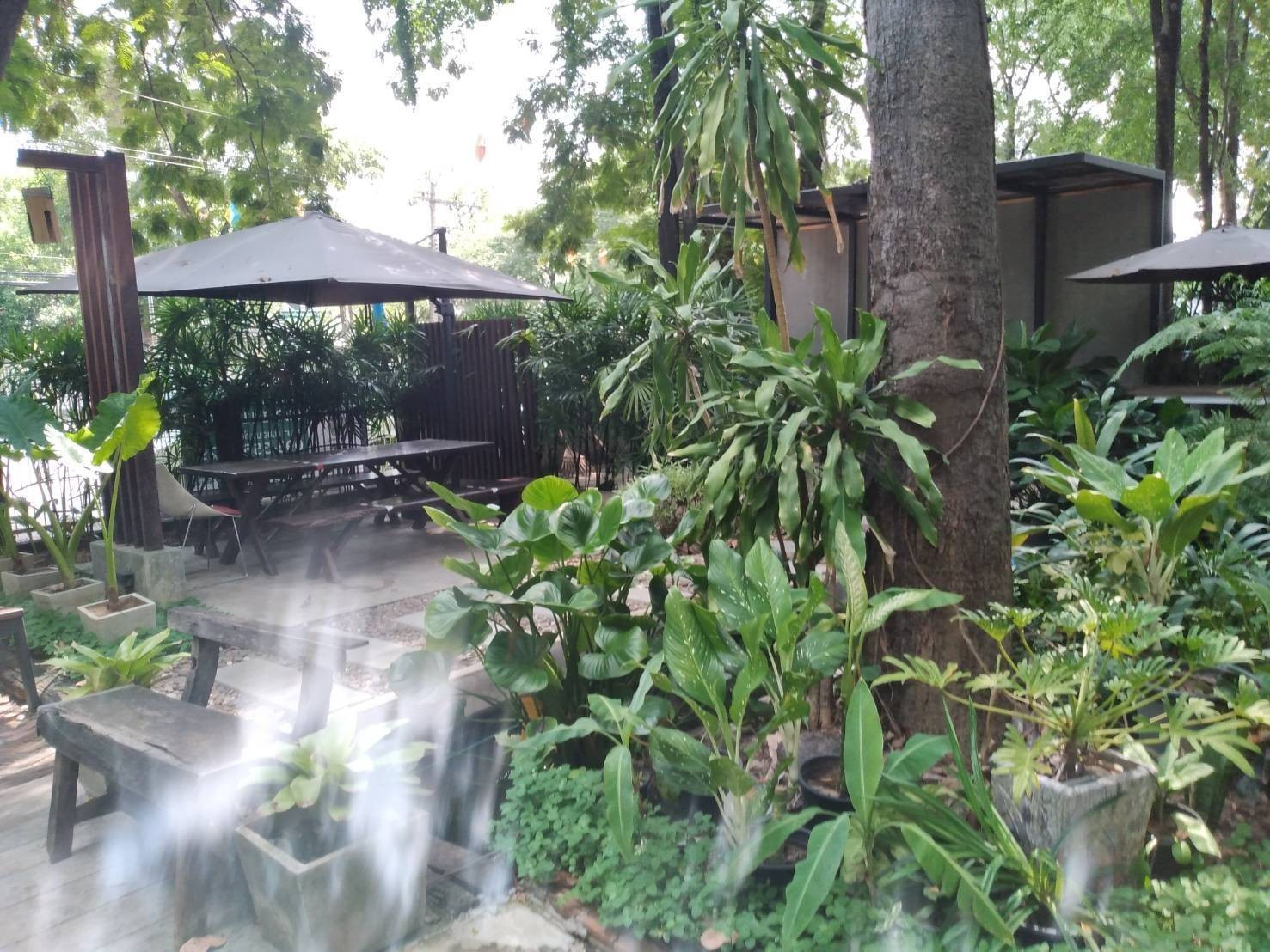 รูป Cafe de' Forest สำนักงานป่าไม้