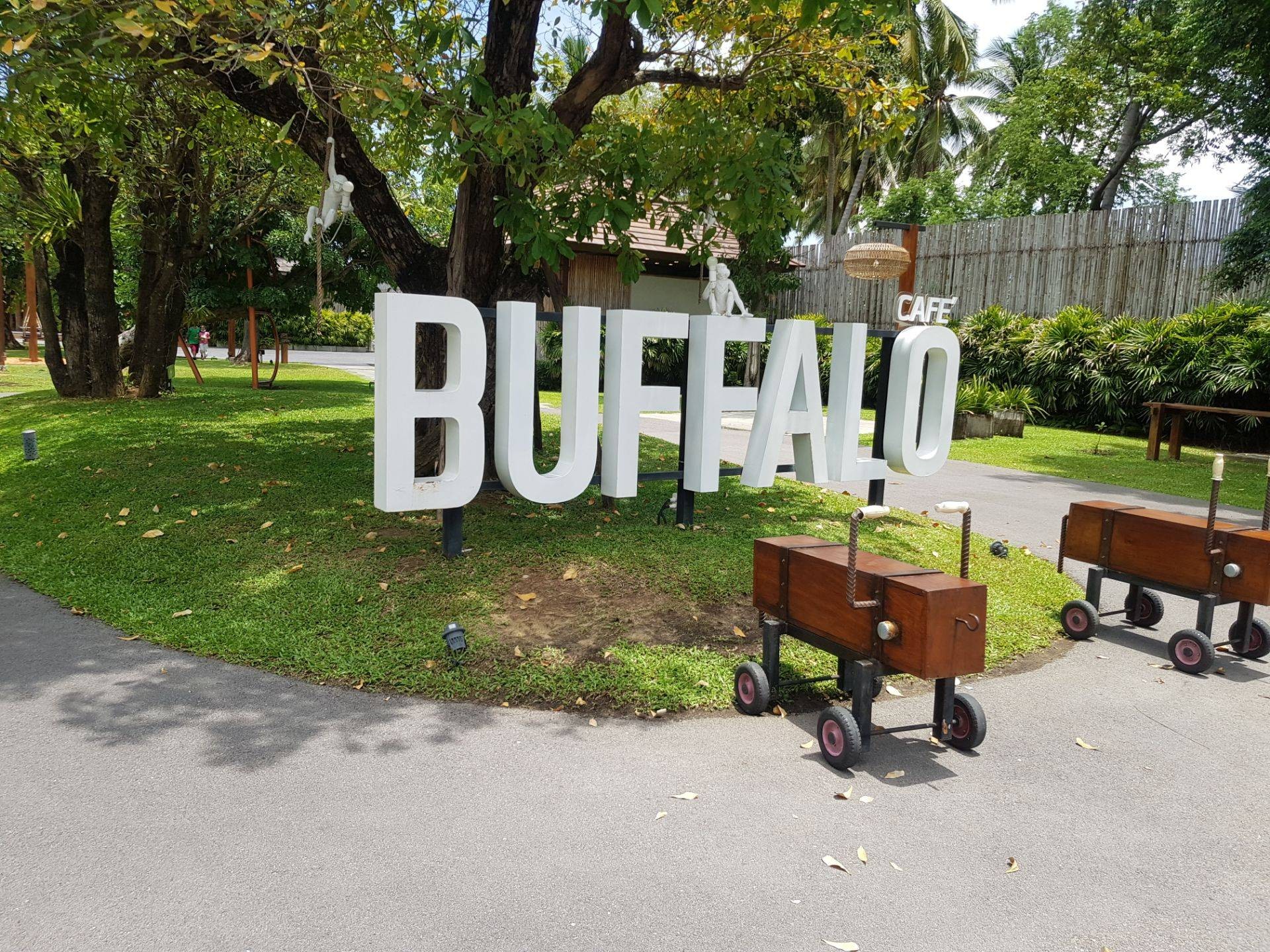 รีวิว The Buffalo Cafe' - ตามหาน้องควาย - Wongnai