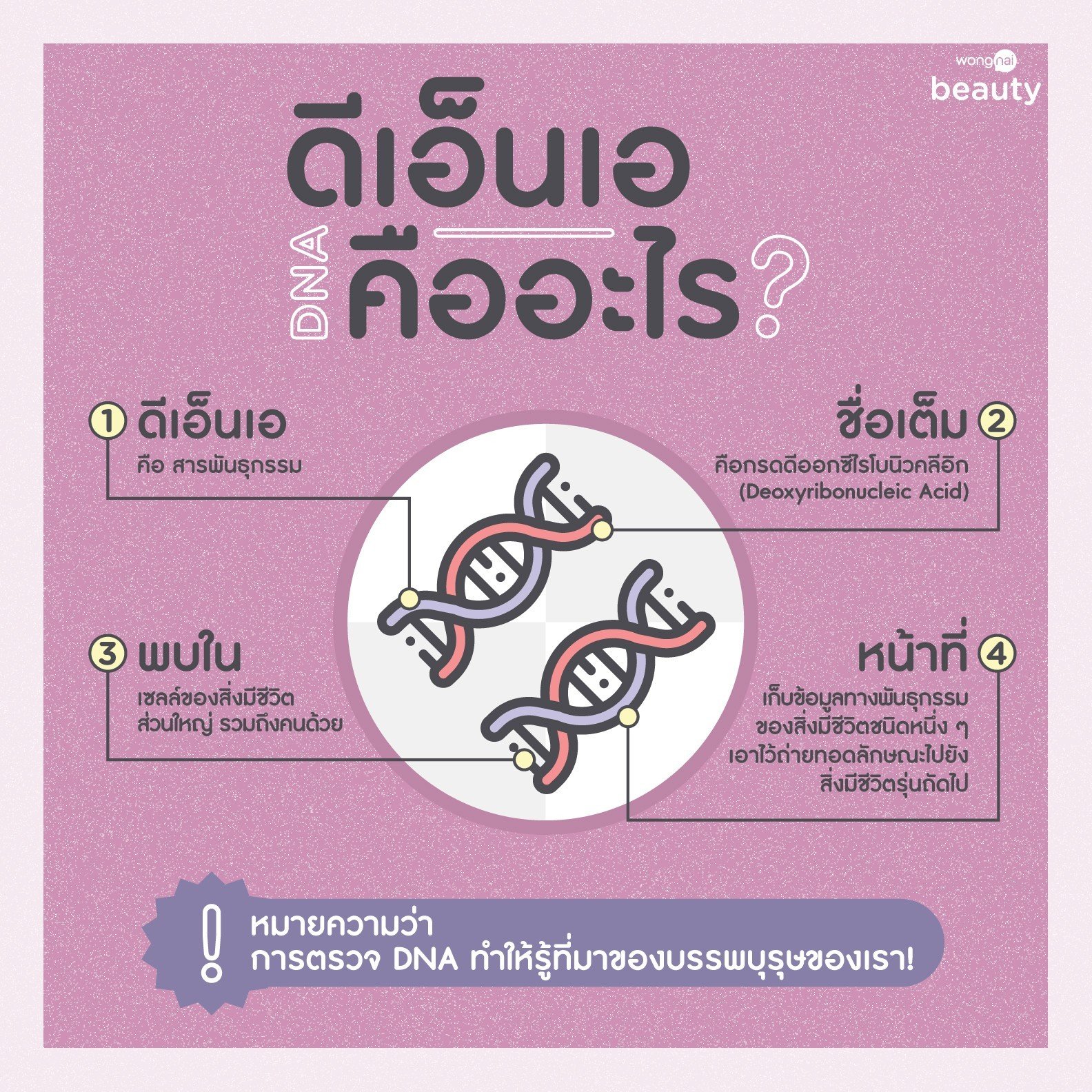 รีวิวตรวจ DNA ง่าย แค่ 2 เดือนรู้ผล ใครจะรู้เราอาจจะมีเชื้อสายยุโรป!