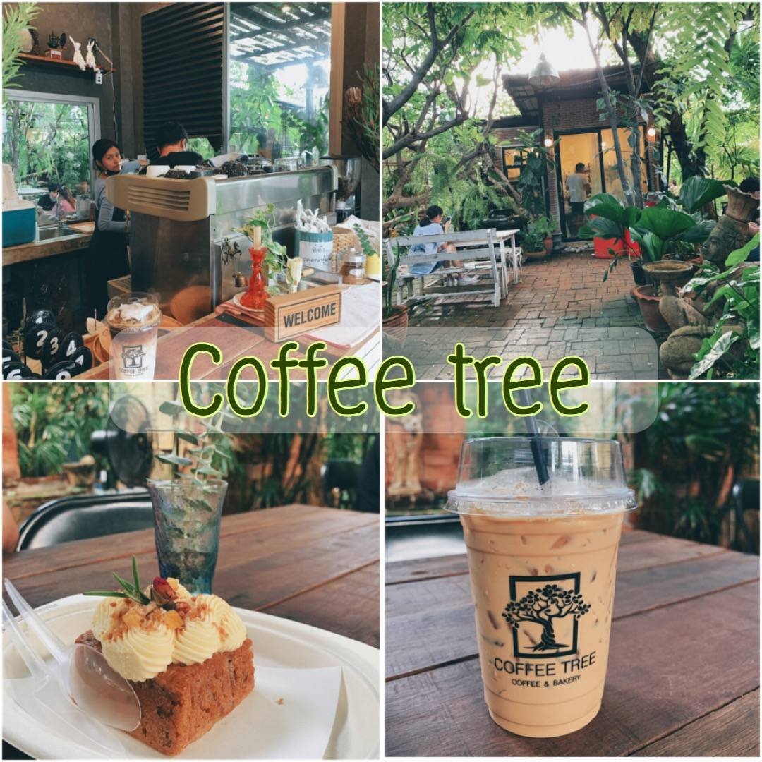 รีวิว CoffeeTreegarden นนทบุรี - กาแฟในสวน “coffee tree”