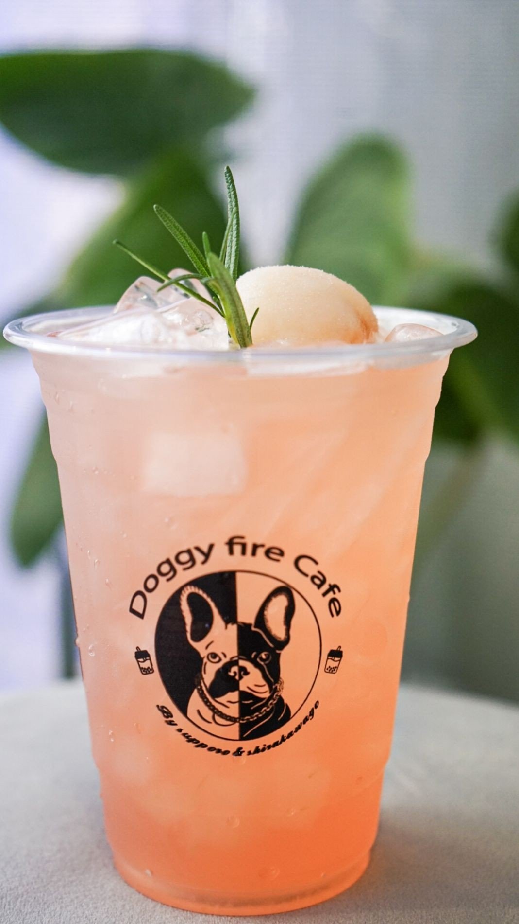ร้าน Doggy fire cafe | รีวิวร้านอาหาร - Wongnai