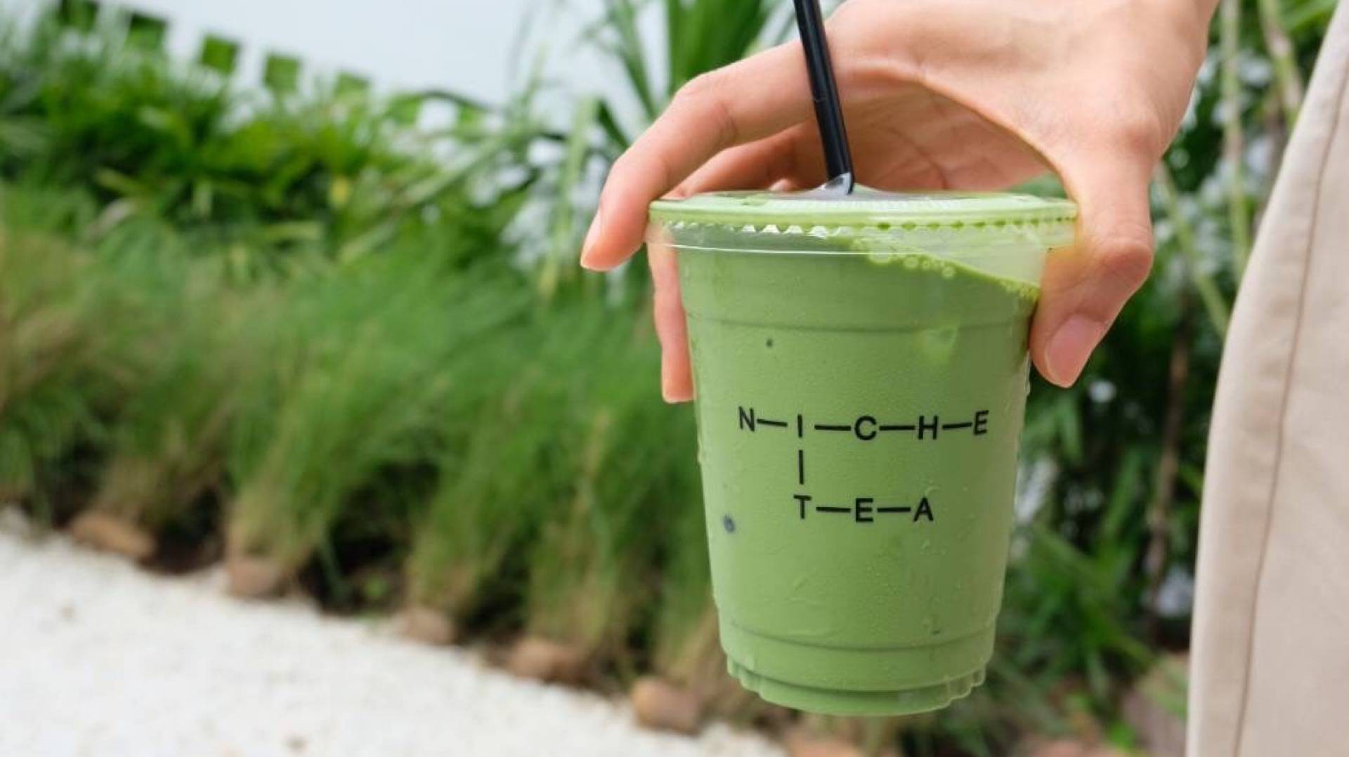 Niche Tea - สั่งอาหารเดลิเวอรี | Wongnai x LINE MAN