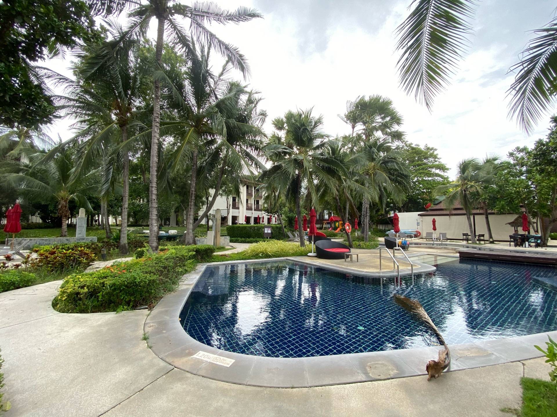 โรงแรมไอบิสสมุย (Ibis Samui Hotel) - รีวิวที่พัก