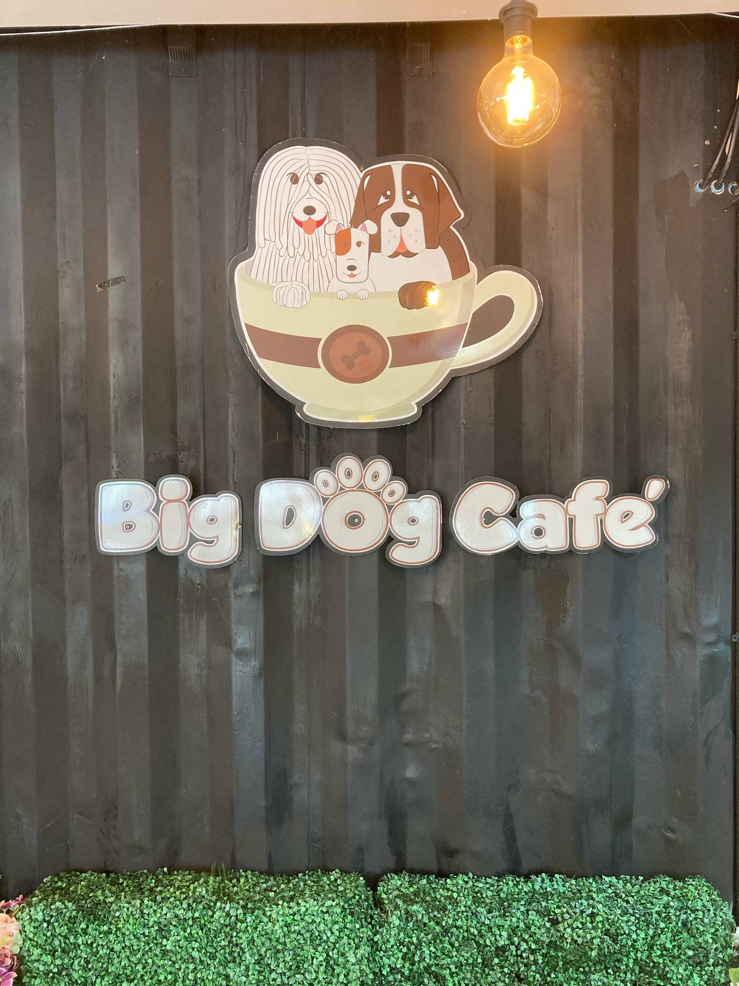 รูป Big Dog Cafe Ratchada
