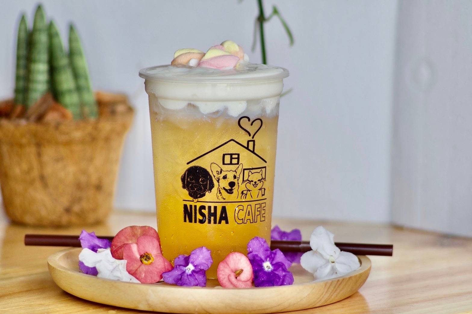 ร้าน Nisha Cafe | รีวิวร้านอาหาร