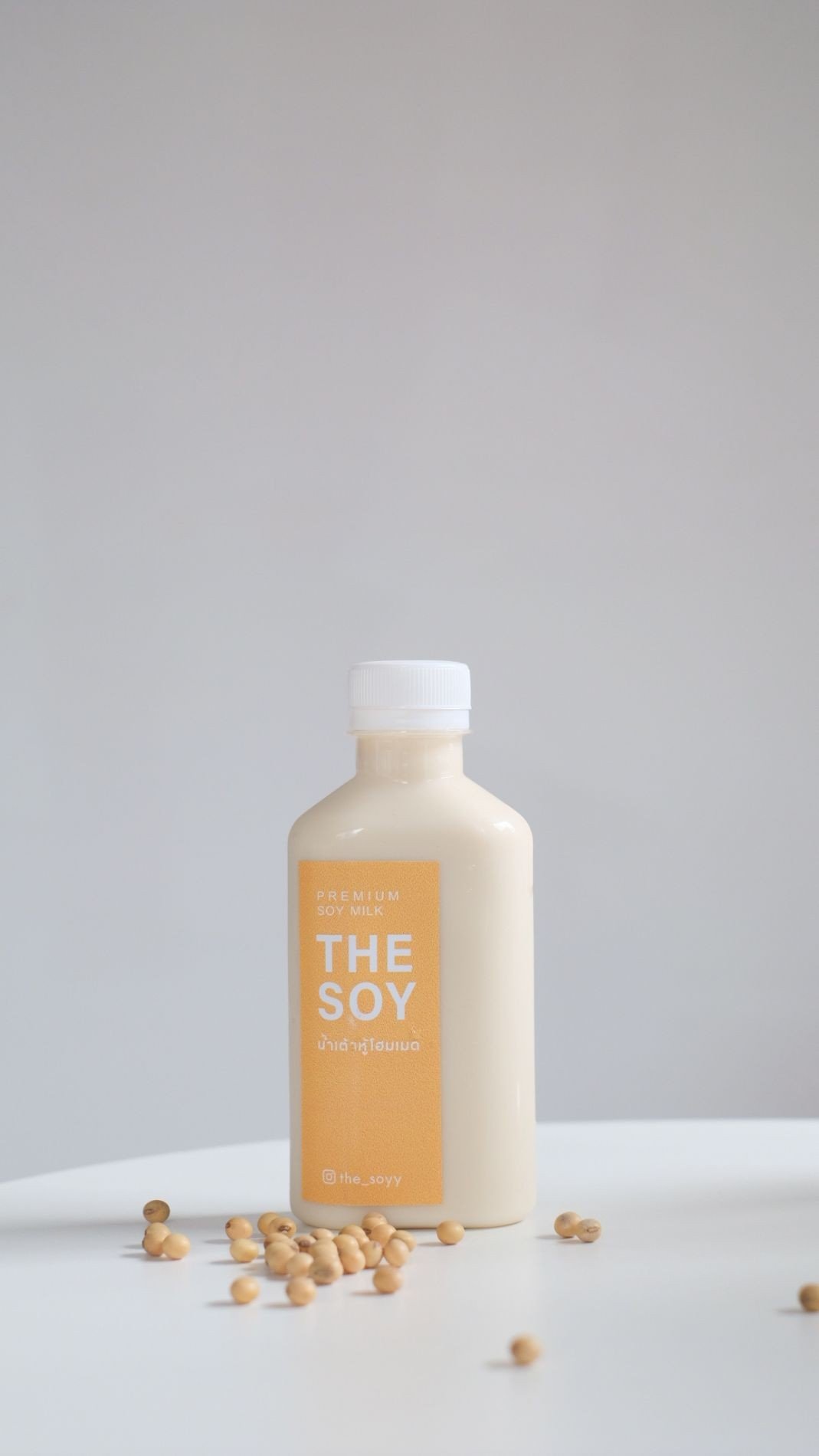 ร้าน The Soy | รีวิวร้านอาหาร