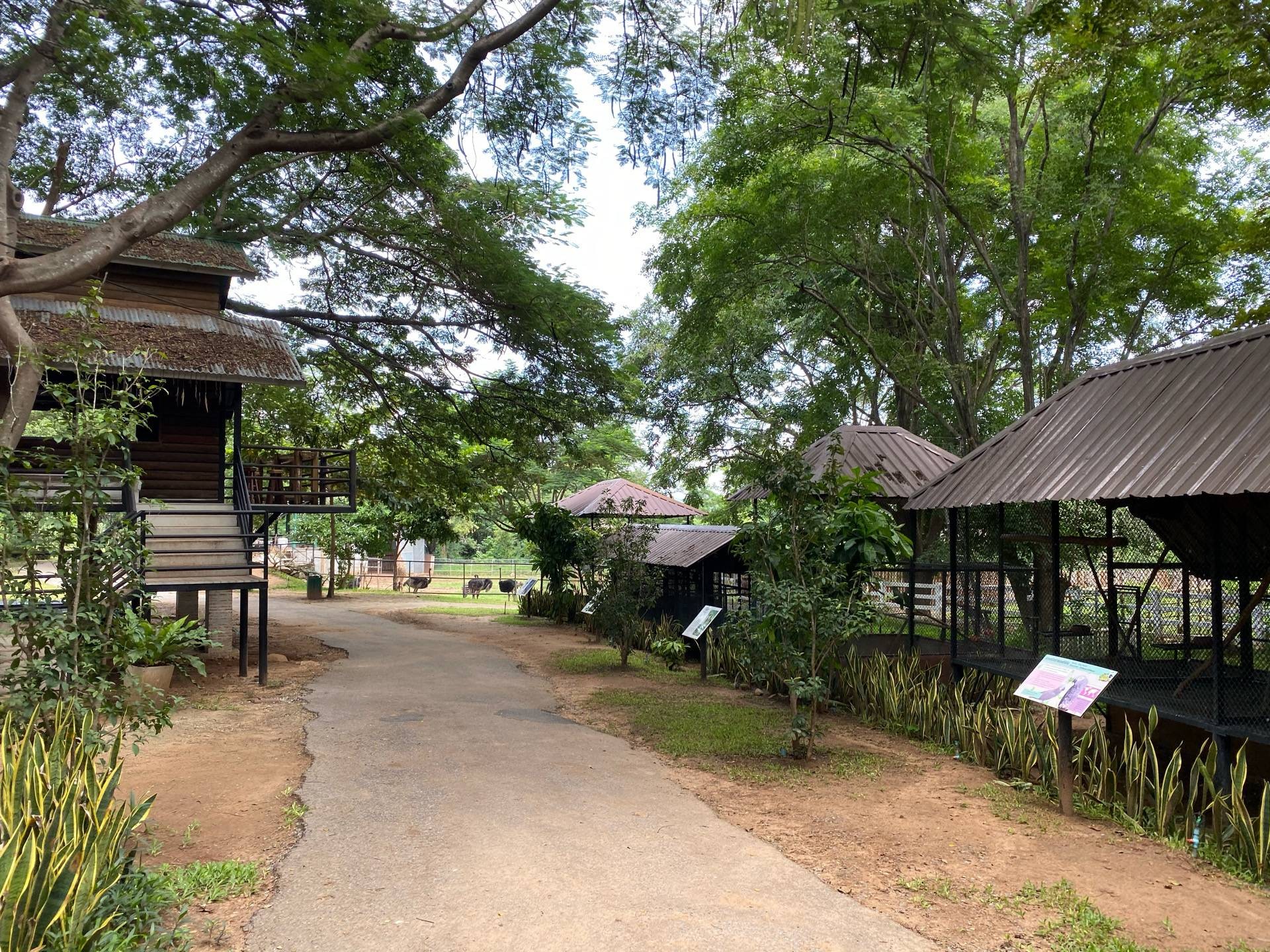 รูป Bonanza Exotic Zoo - Wongnai