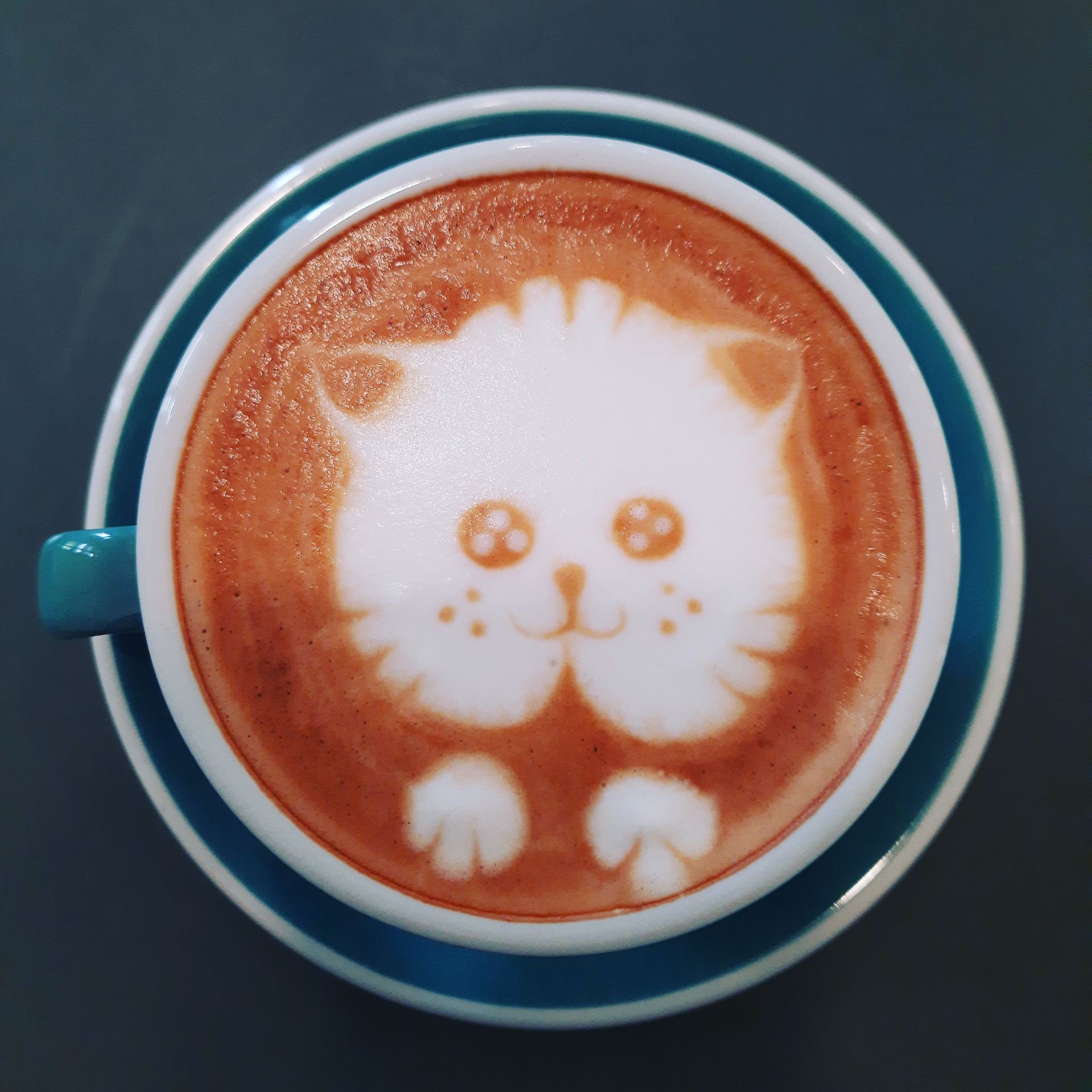 รีวิว Poss Coffee Roasters Poss Coffee Roaster HQ - กาแฟดี กำแพงแสน