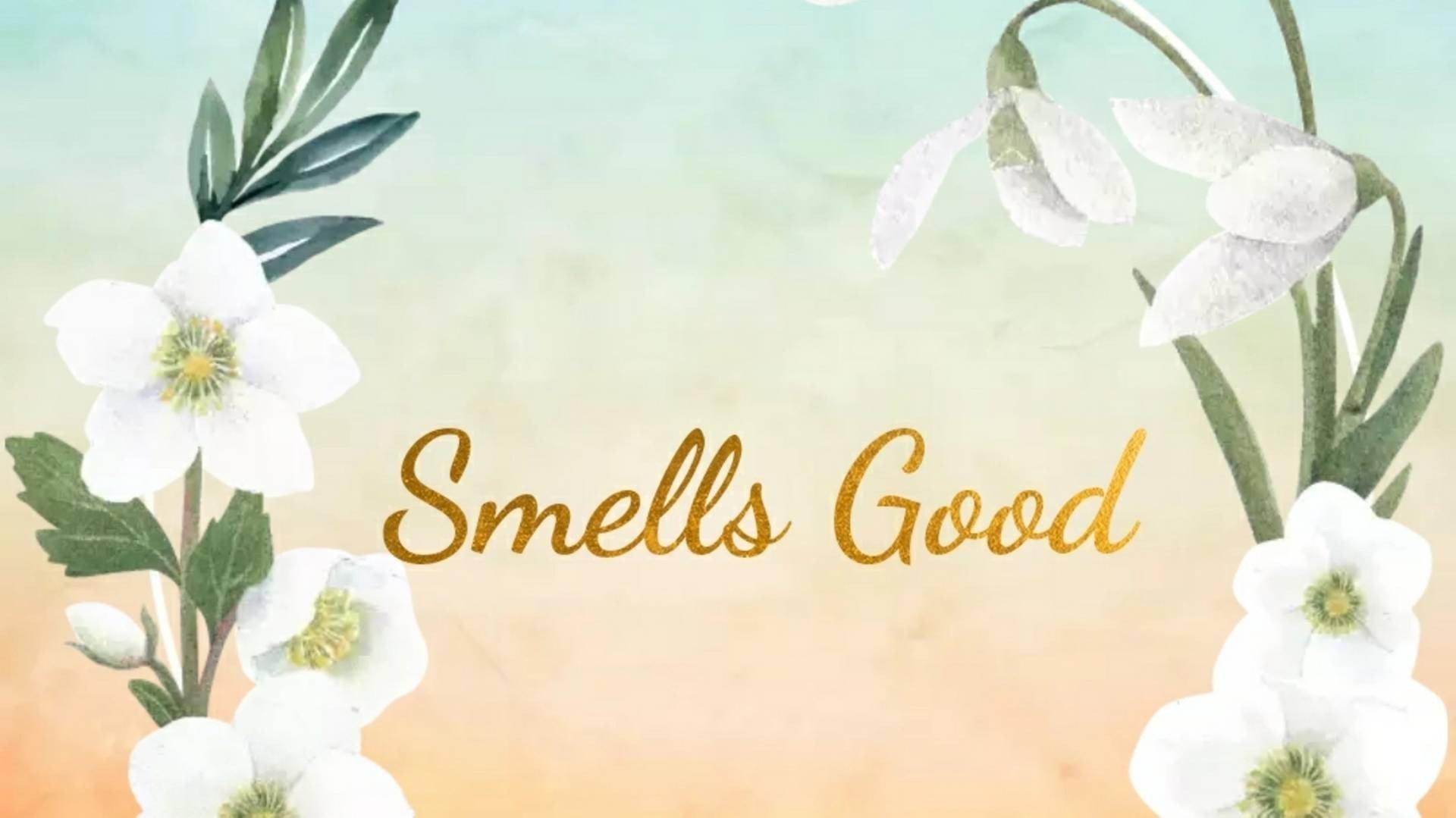 Smells good - สั่งอาหารเดลิเวอรี | Wongnai x LINE MAN