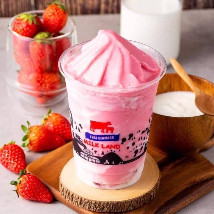 ร้าน Thai-Denmark Milk Land Milk Land 6 ตรงข้ามร้านบ้านอู่ทอง | รีวิว ...