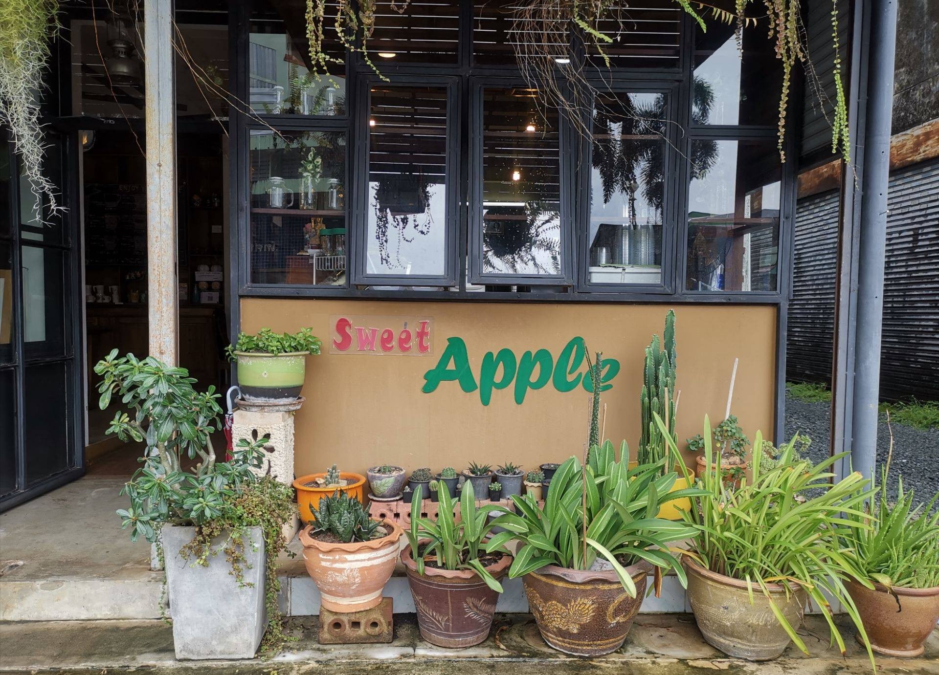 รีวิว sweet apple - เป็นร้านเล็กๆ บรรยากาศดีๆสไตล์วินเทจ ออกแนวอาร์ต ...
