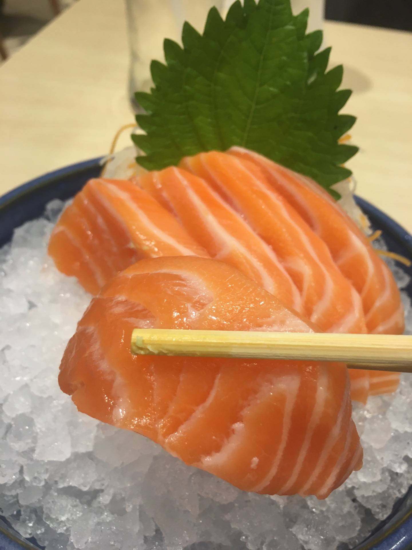 Fin Sushi 21 fin-sushi-21