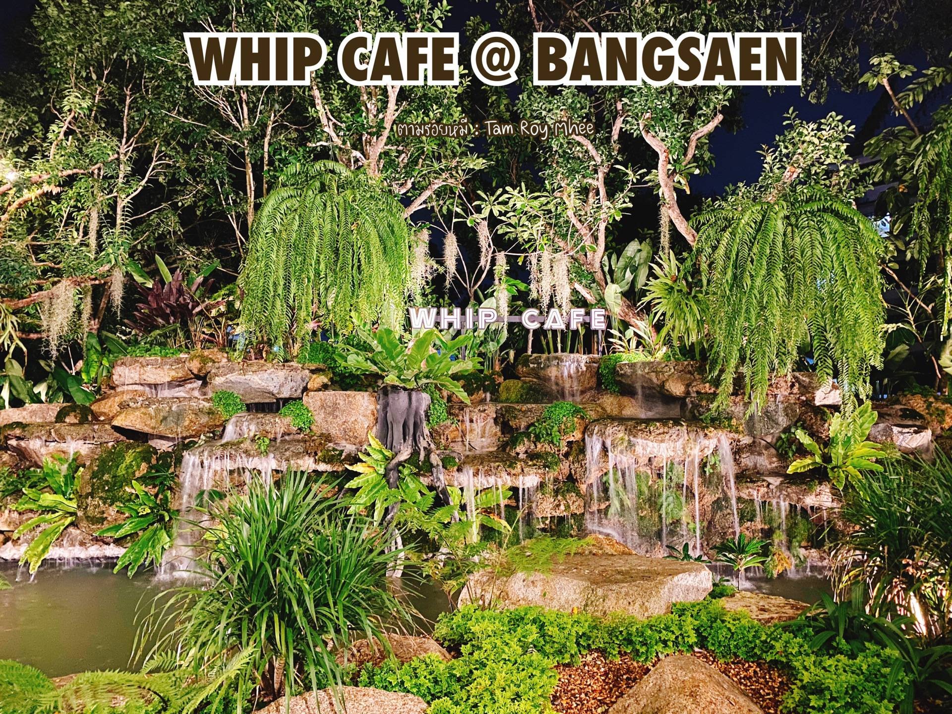 รีวิว WHIP CAFE Bangsaen - คาเฟ่ร่มรื่นเปิดใหม่ล่าสุดบางแสน