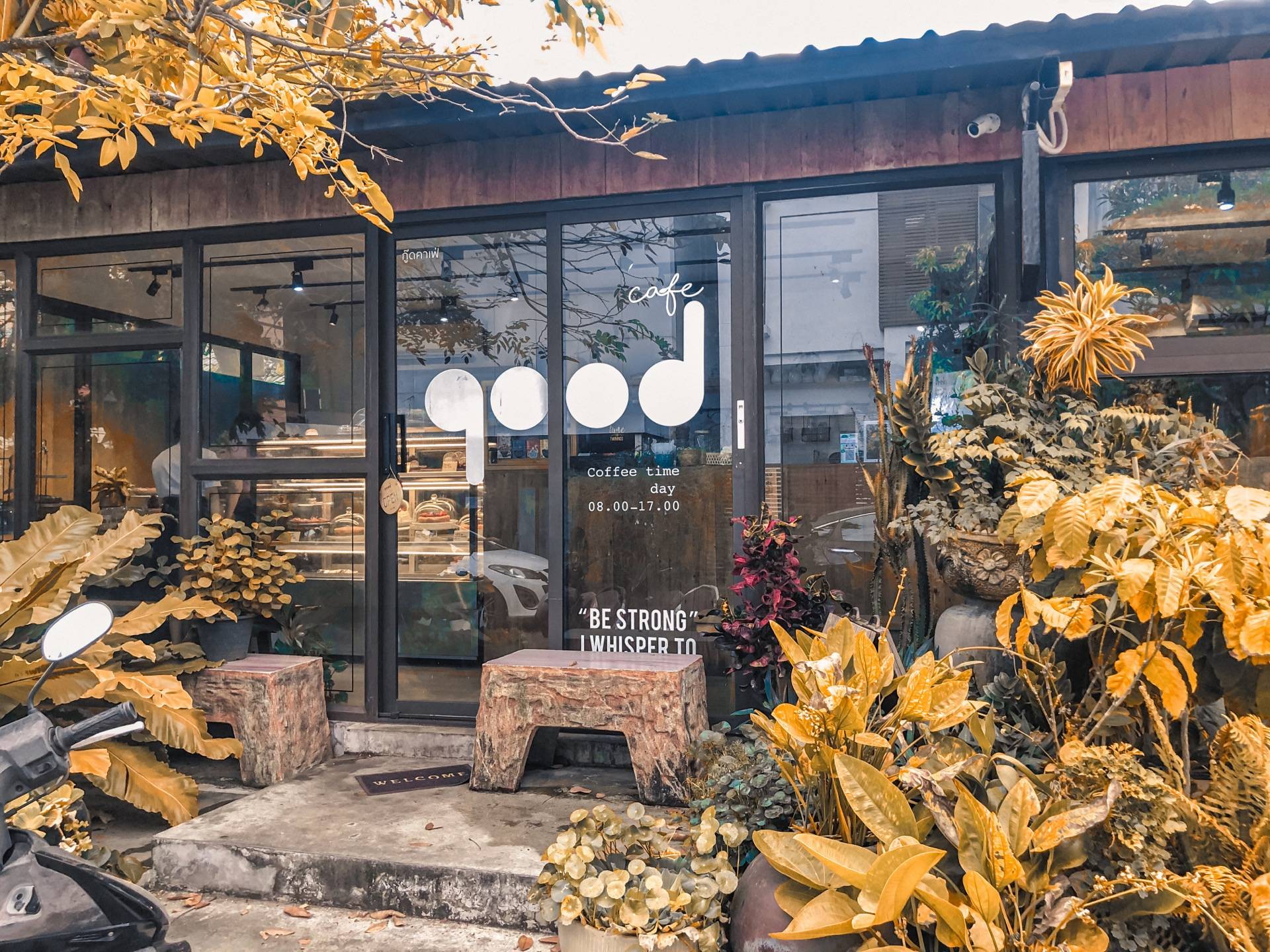 รีวิว Good Cafe - โดนัทอร่อย ราคาน่ารัก