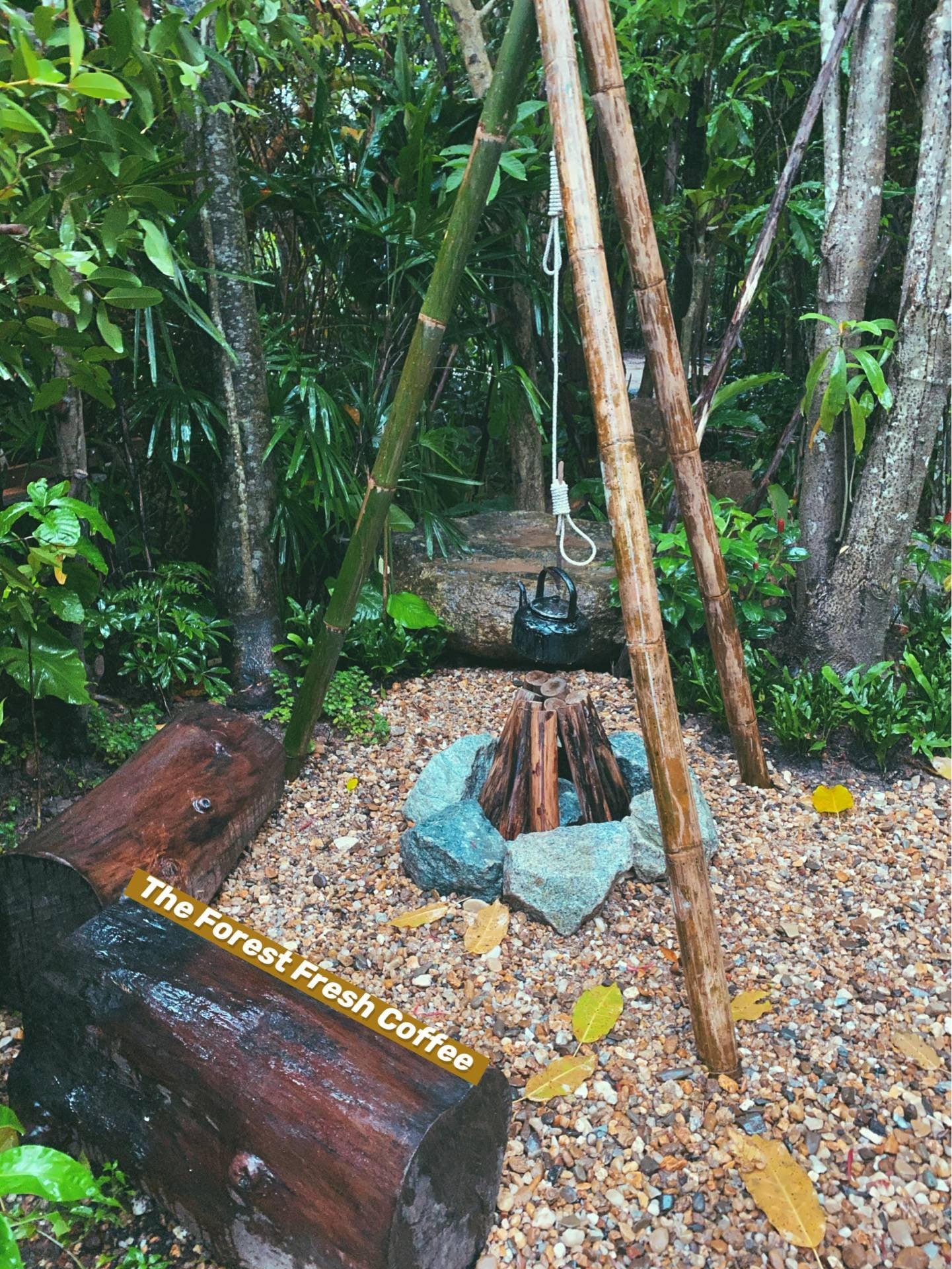 ร้าน The forest fresh Coffee | รีวิวร้านอาหาร