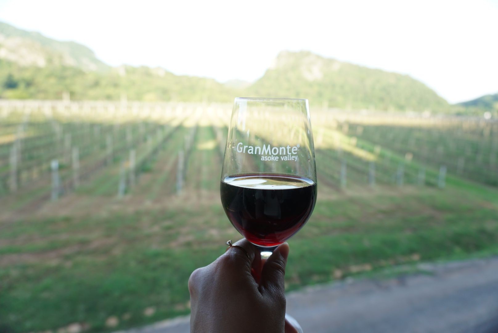 รูป GranMonte Vineyard and Winery เขาใหญ่