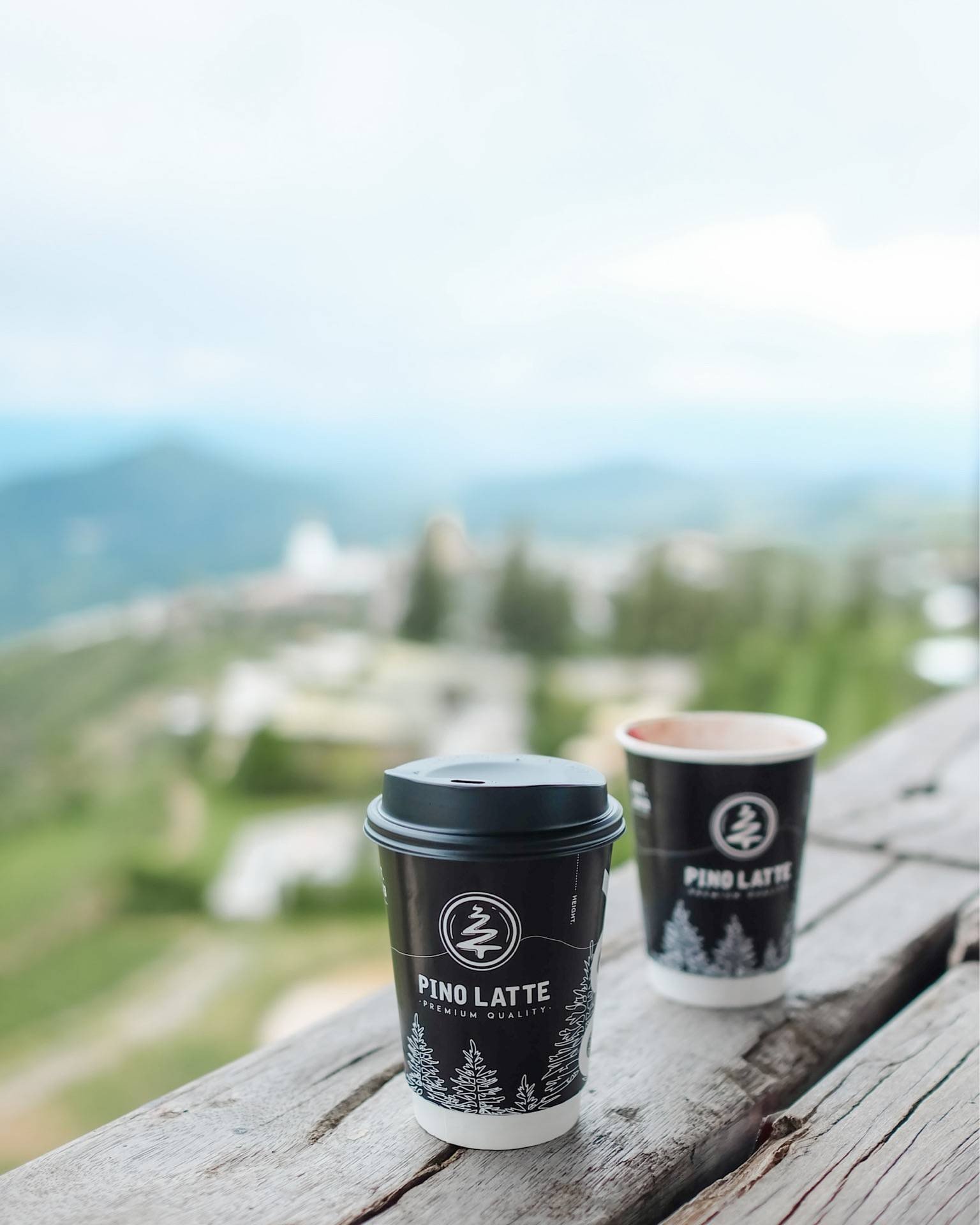 รีวิว Pino Latte Resort & Cafe - วิวดีงามที่หนึ่ง ไม่ควรพลาดเมื่อมาเขาค้อ