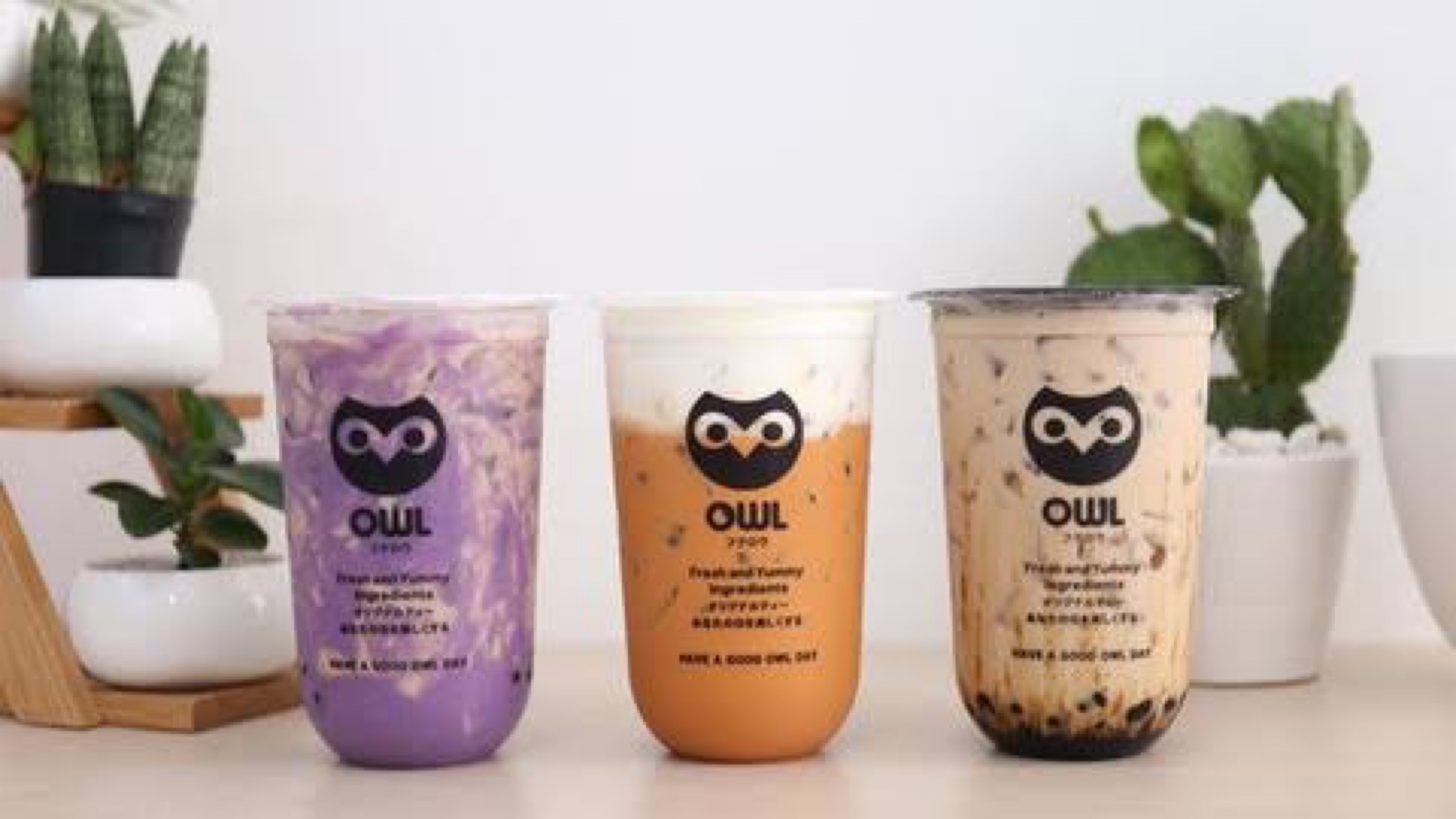 ร้าน Owl Cha กระทุ่มแบน บริษัท มายด์แคร์ พลัส จำกัด สาขา 00002 (Owl Cha ...