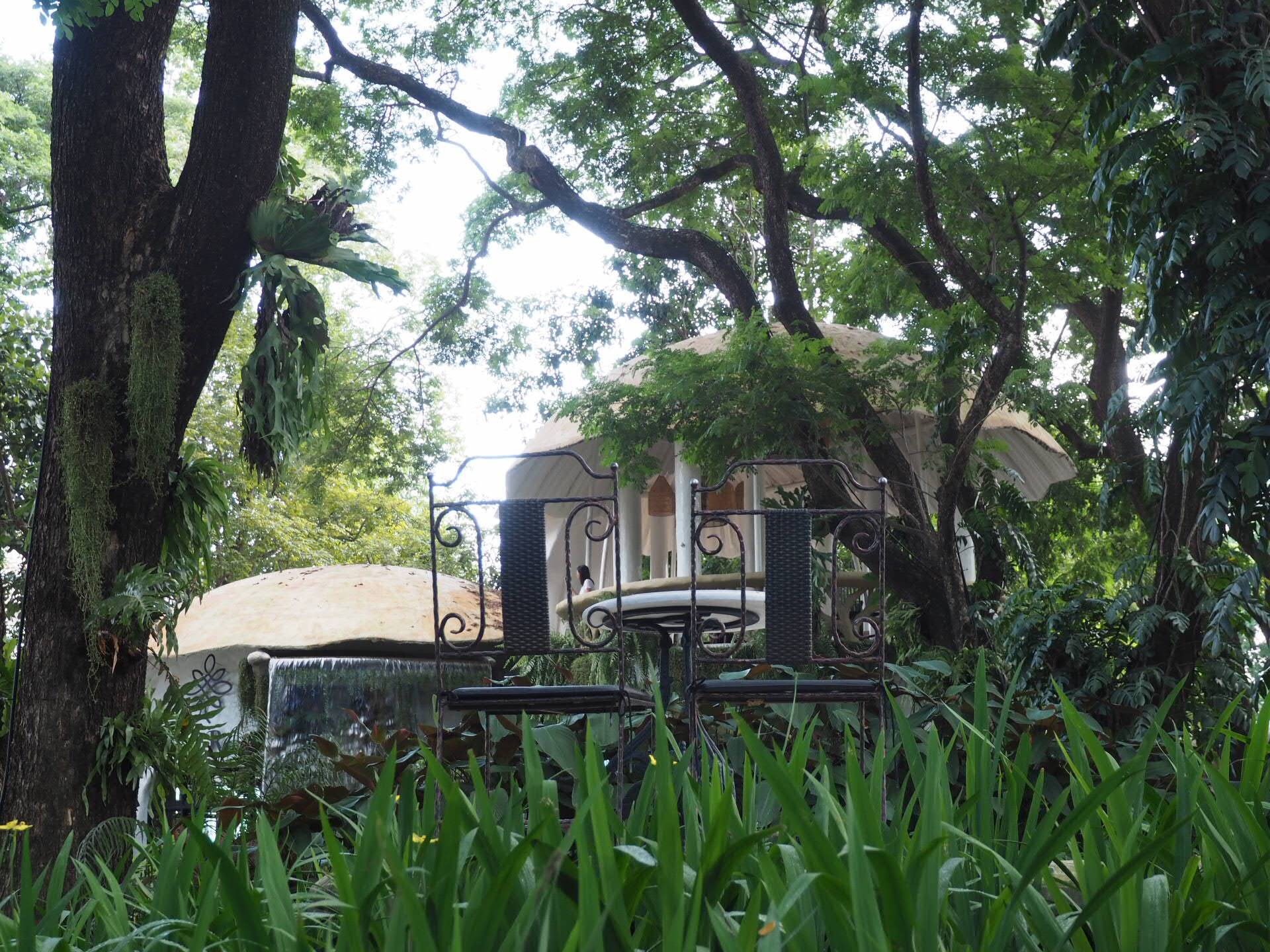 รีวิว Much Room Cafe - คาเฟ่ป่าใหญ่กลางเมืองเปิดใหม่ค่ะ