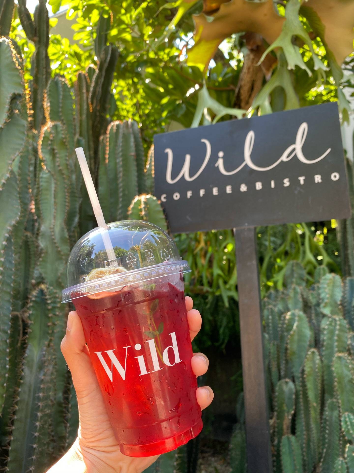 รีวิว Wild Coffee & Bistro - ราคาเครื่องดื่มไม่แพง บรรยากาศดี 👍