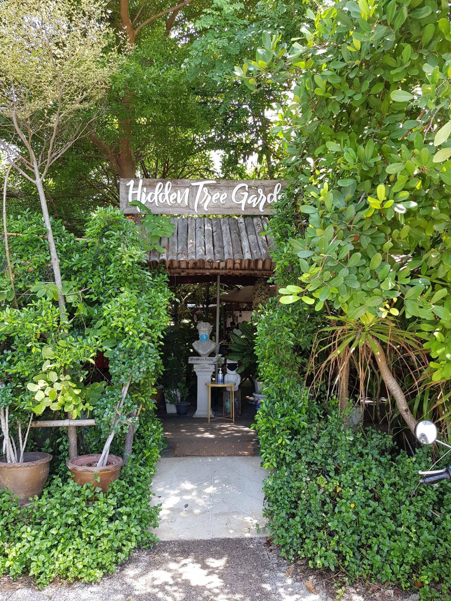 รีวิว Hidden Tree Garden Specialty Coffee - ร้านคาเฟ่ท่ามกลางธรรมชาติ ...