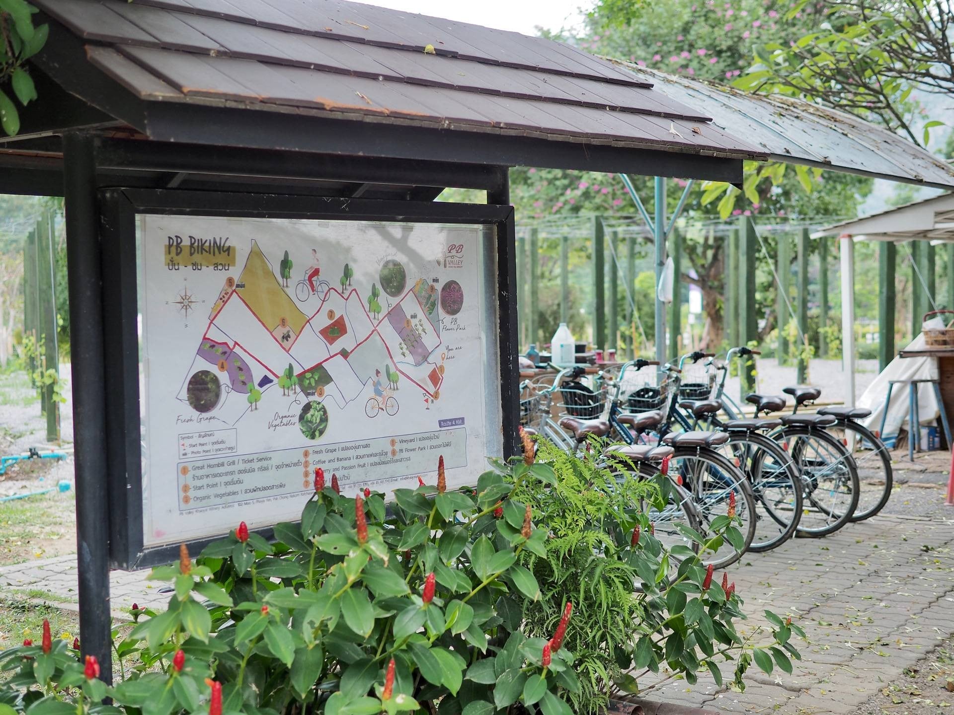 รูป PB Valley Khao Yai Winery - Wongnai