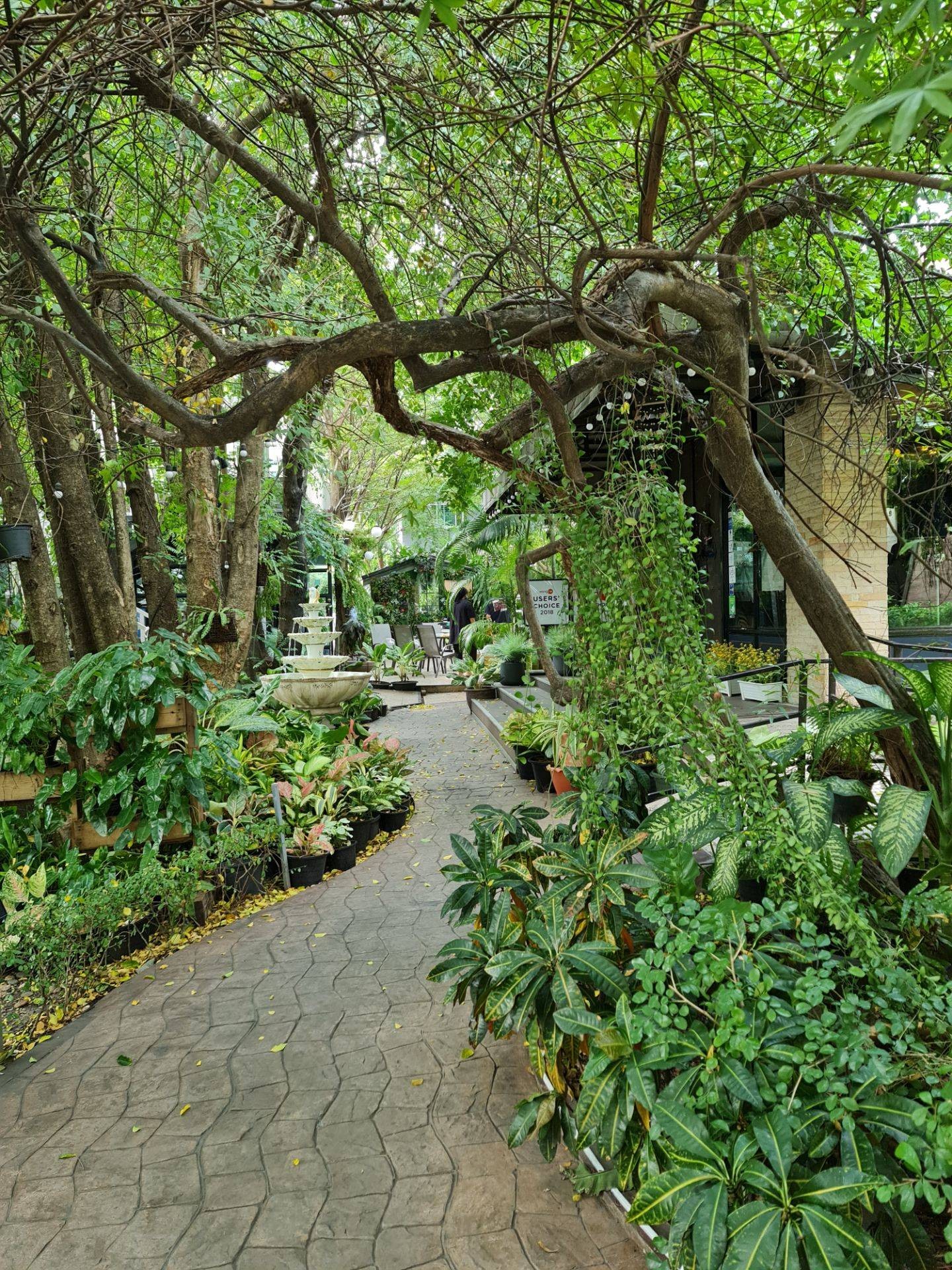 รีวิว PATA PLANTATION - บรรยากาศดี รสชาติใช้ได้