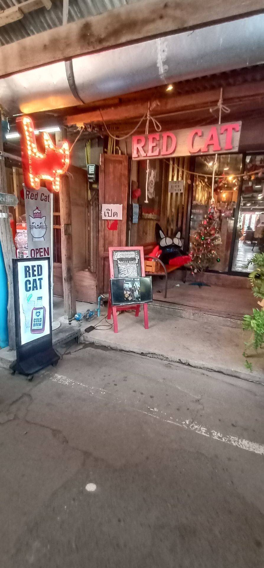 รีวิว Red Cat Cafe ฉะเชิงเทรา - แนะนำครับ Rad Cat cafe' - Wongnai