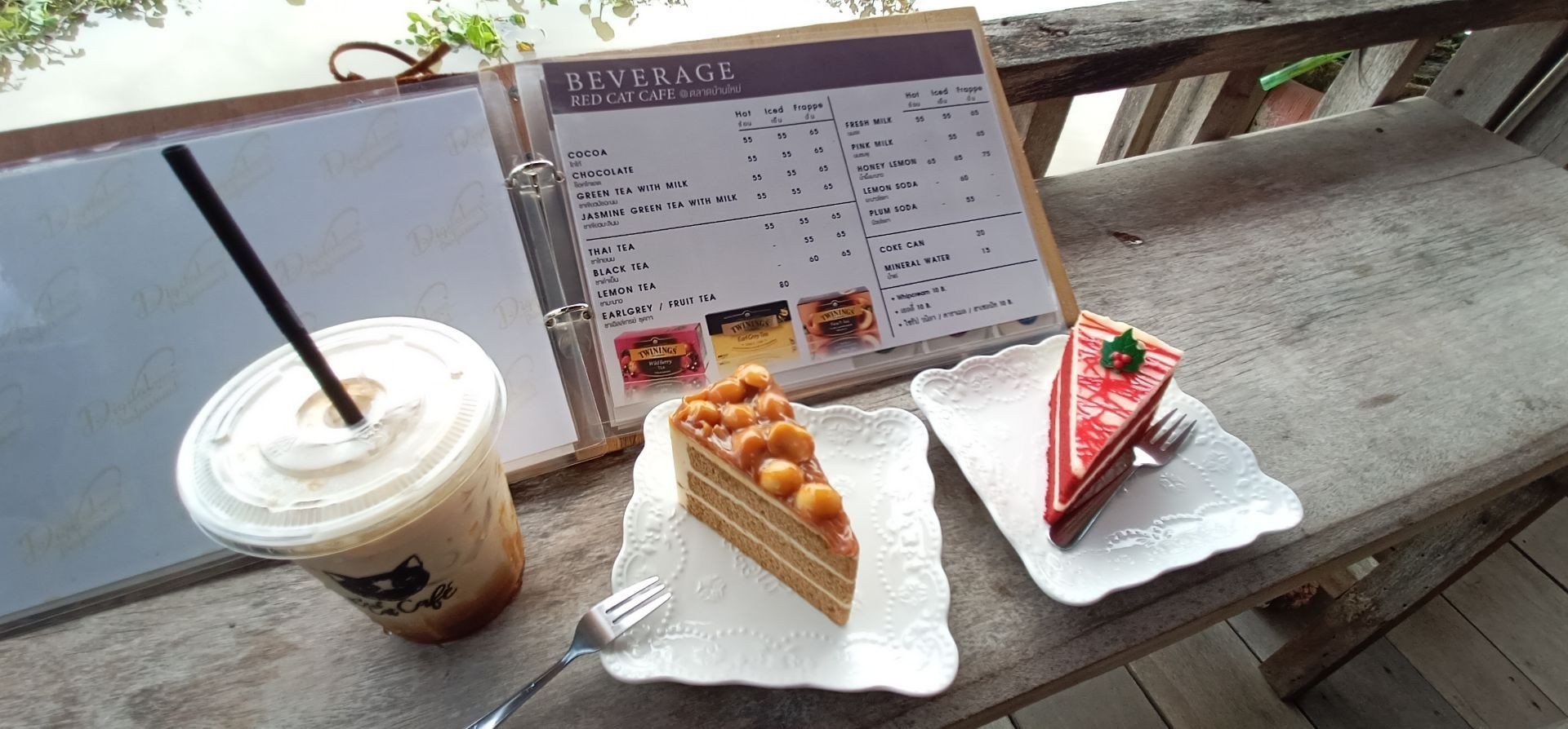 รูป Red Cat Cafe ฉะเชิงเทรา