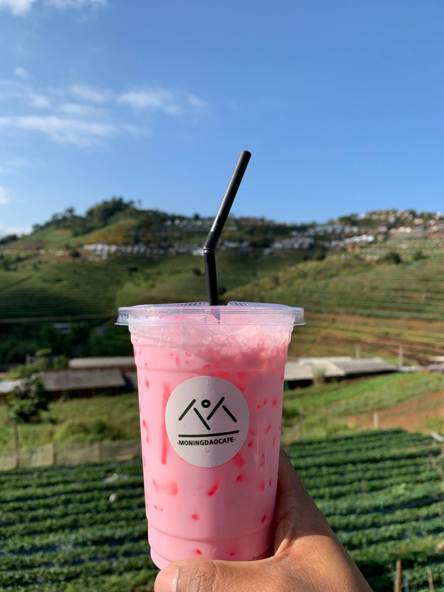 รีวิว Mon Ing Dao Cafe Wongnai