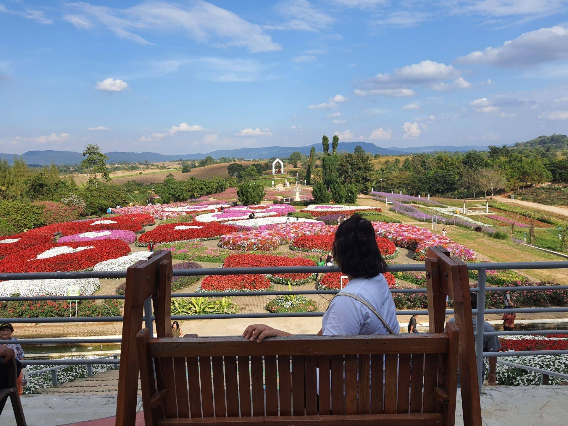 รีวิว Flora Park - ถ่ายรูปกับดอกไม้ - Wongnai