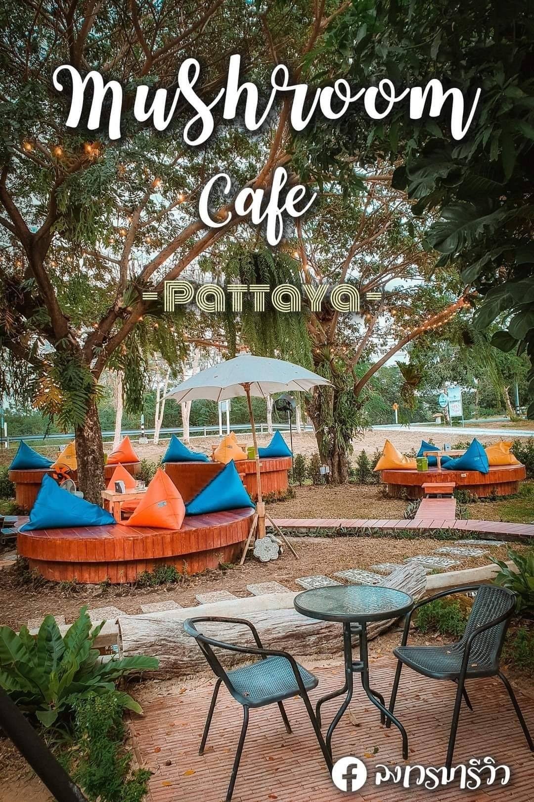 เห็ดรวมชุปแป้งทอด ร้าน Mushroom Cafe - Wongnai