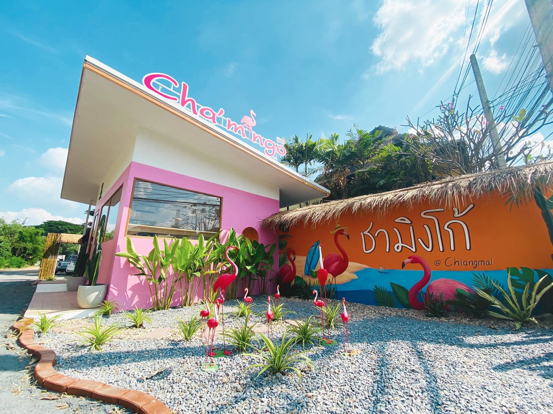 รีวิว Cha'mingo-ชามิงโก้ เชียงใหม่