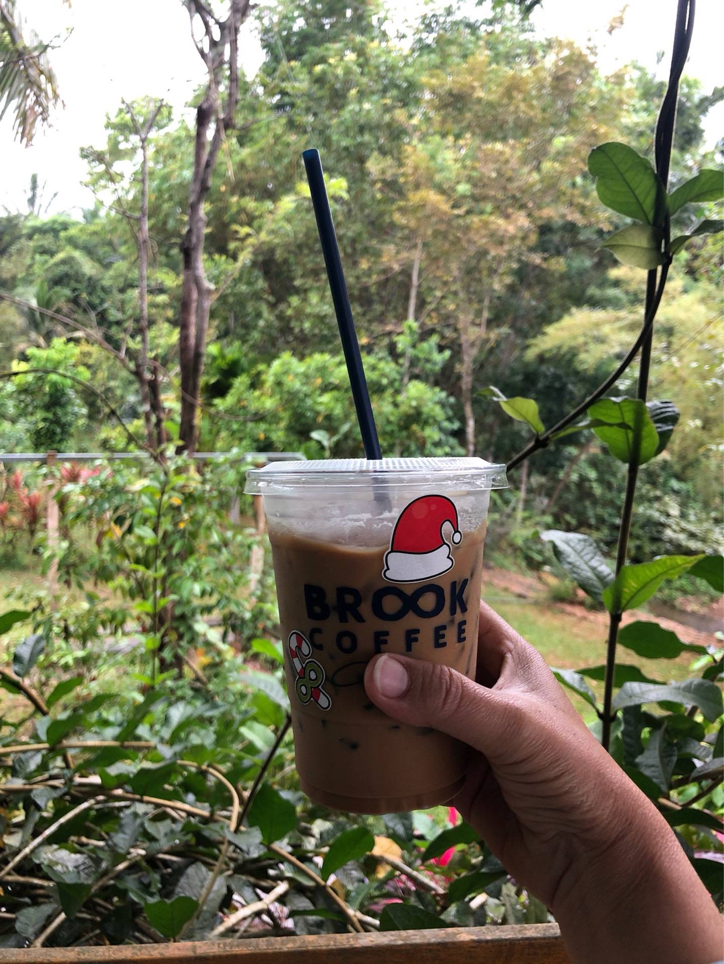 รีวิว Brook Coffee - Chumphon - รสชาติเข้มข้นกลิ่นหอม