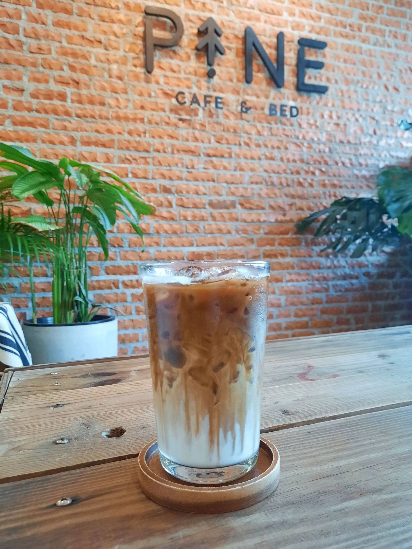 รีวิว PINE Cafe & Bed - ชอบความขาว แต่ไม่หวานของร้าน ผู้ชายนั่งได้55