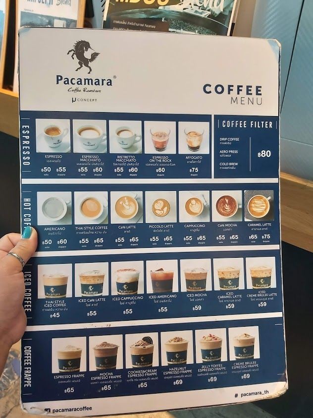 รูป PACAMARA หอสมุดคณะแพทยศาสตร์ จุฬาลงกรณ์มหาวิทยาลัย