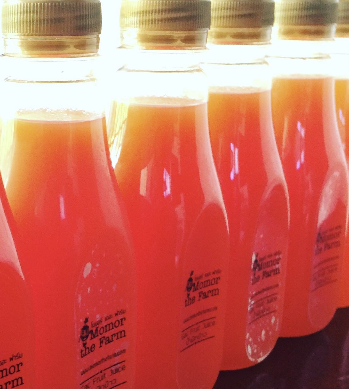 รีวิว Momor the Farm @ BKK - น้ำฟักข้าวจากฟาร์ม รสชาติอร่อย หาทานยาก ...