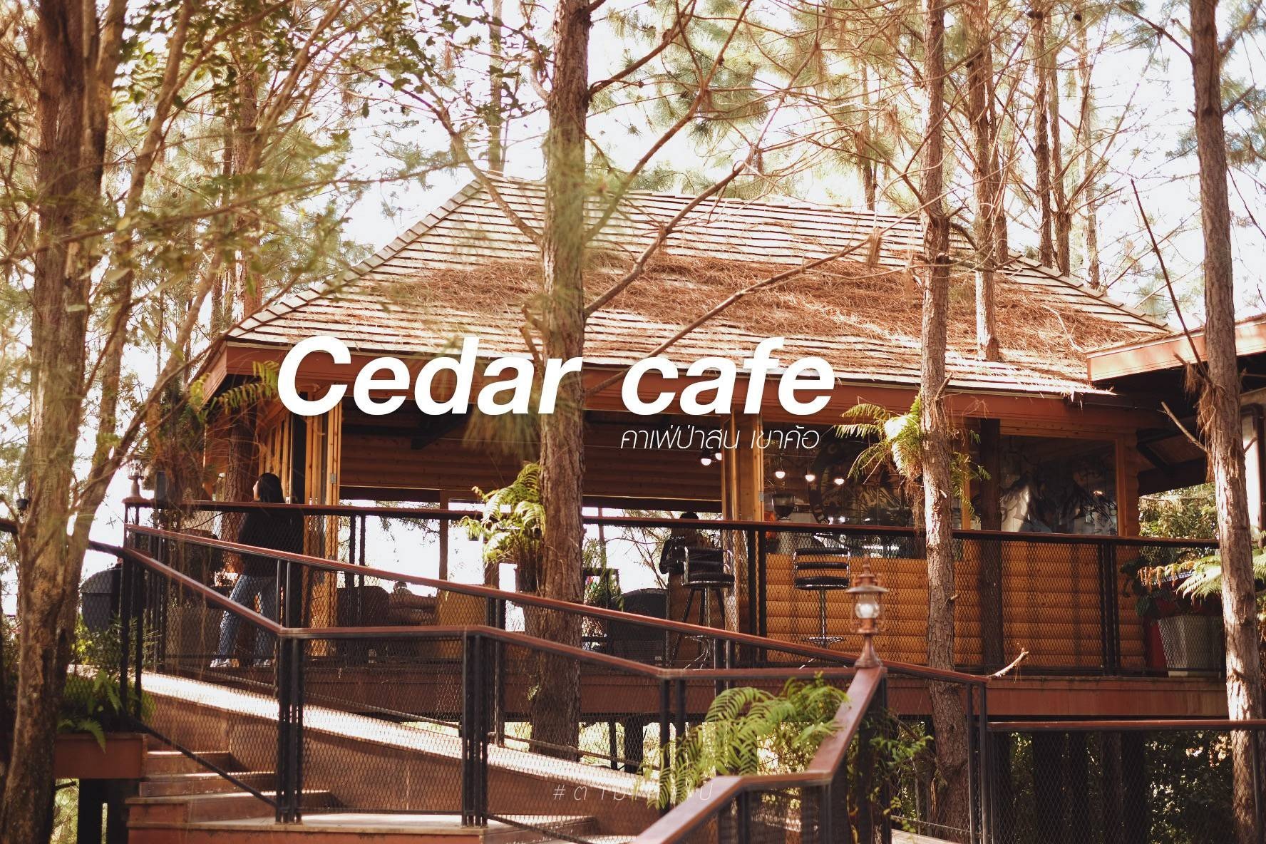 รีวิว cedar ป่าสน cafe' @ เขาค้อ เขาค้อ - Cedar cafe ป่าสน เขาค้อ