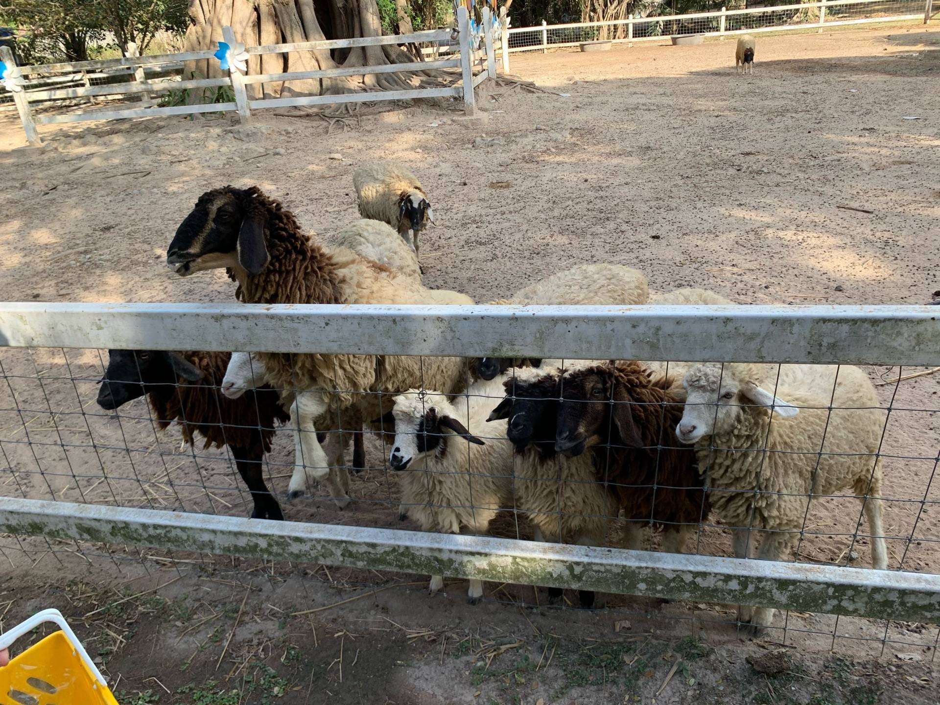 รูป LA MUN CAFE