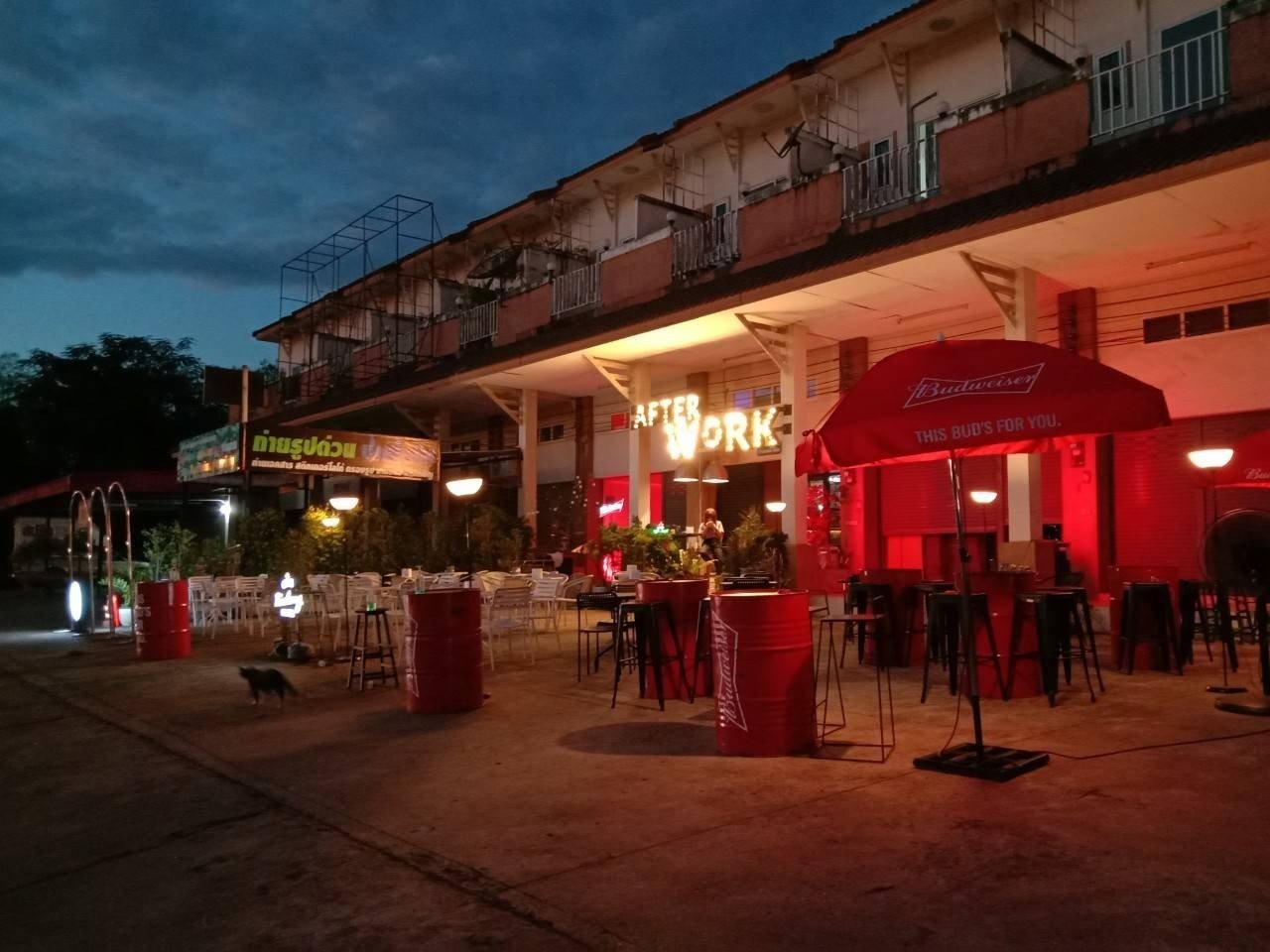 รีวิว Afterwork - เพลงเพราะๆ บรรยากาศดีๆ เบียร์เยอะมาก