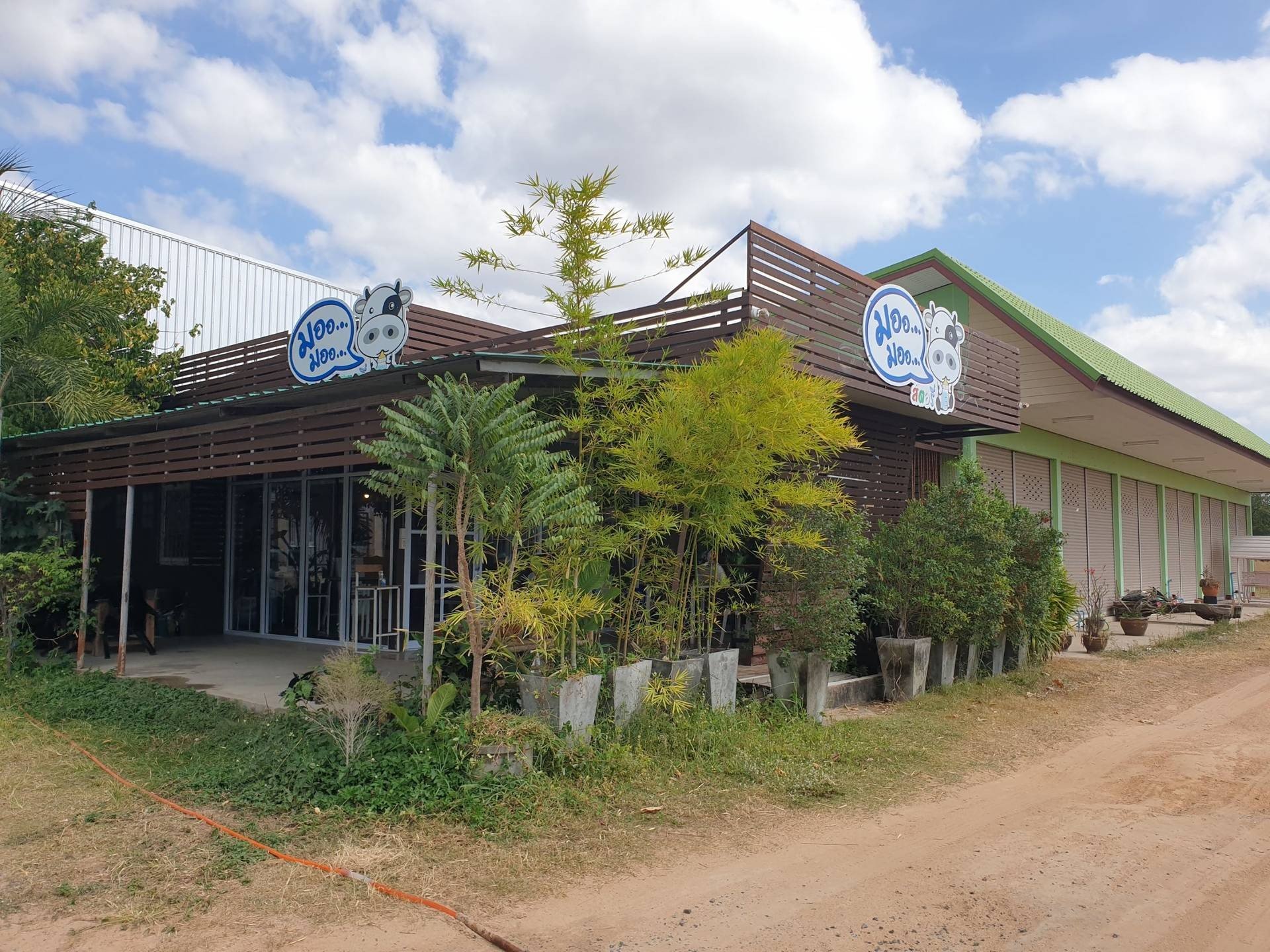 ร้าน Moo Moo Story | รีวิวร้านอาหาร - Wongnai