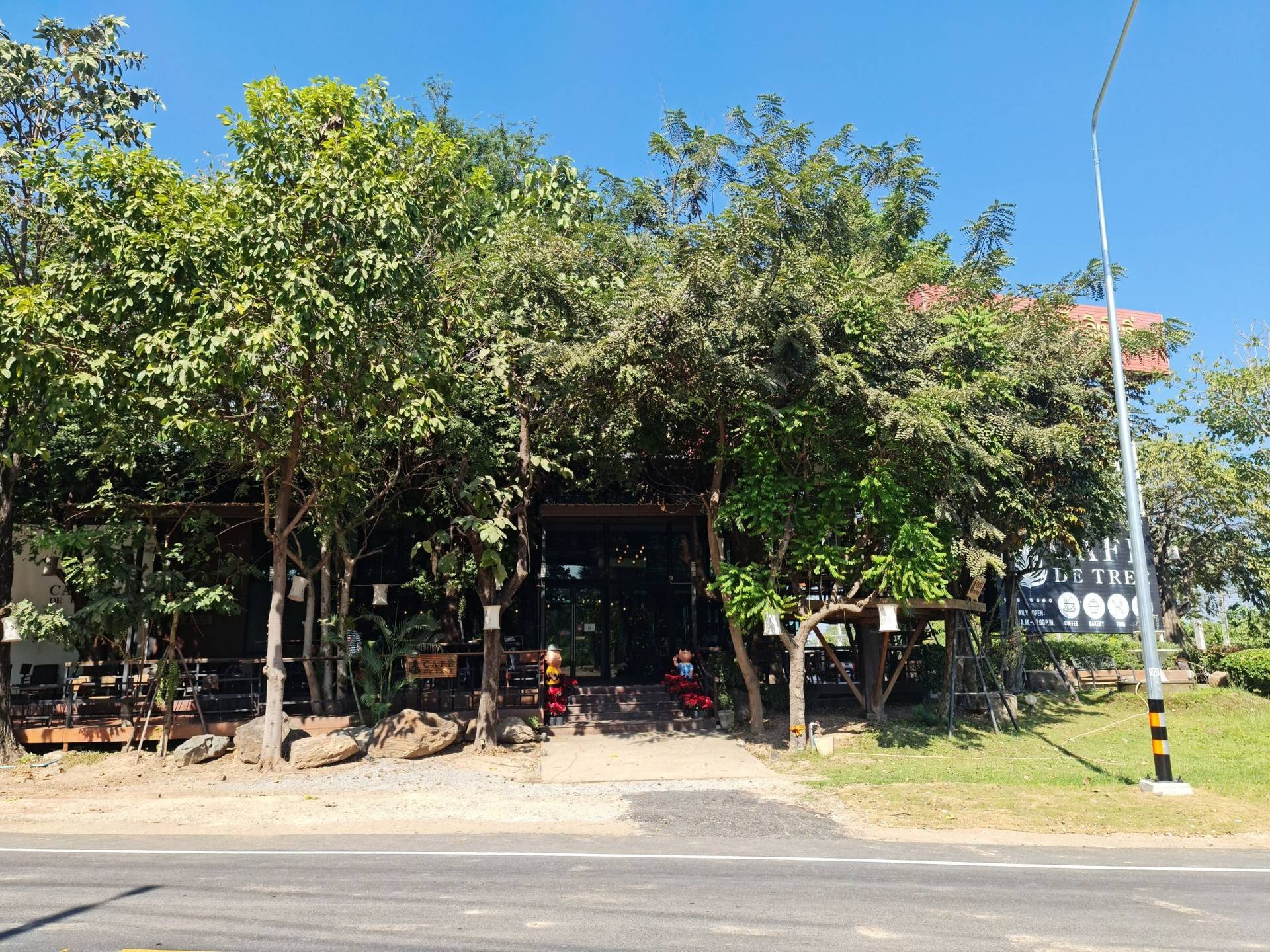 รีวิว Cafe De Tree - ร้านใหญ่นั่งสบาย