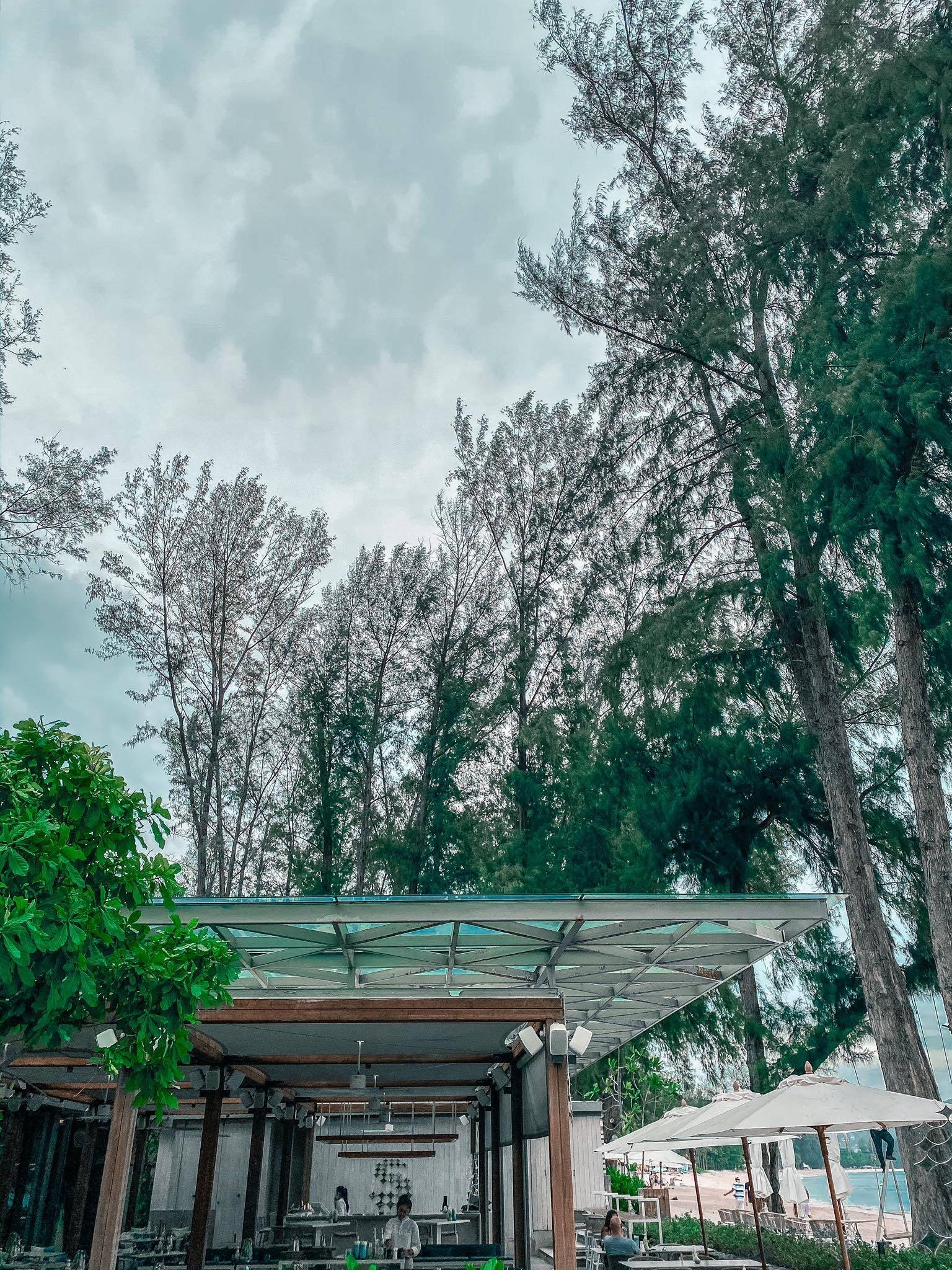 รีวิว Shimmer Beachfront Restaurant - บรรยากาศร้านอาหารหน้าหาด อาหาร ...