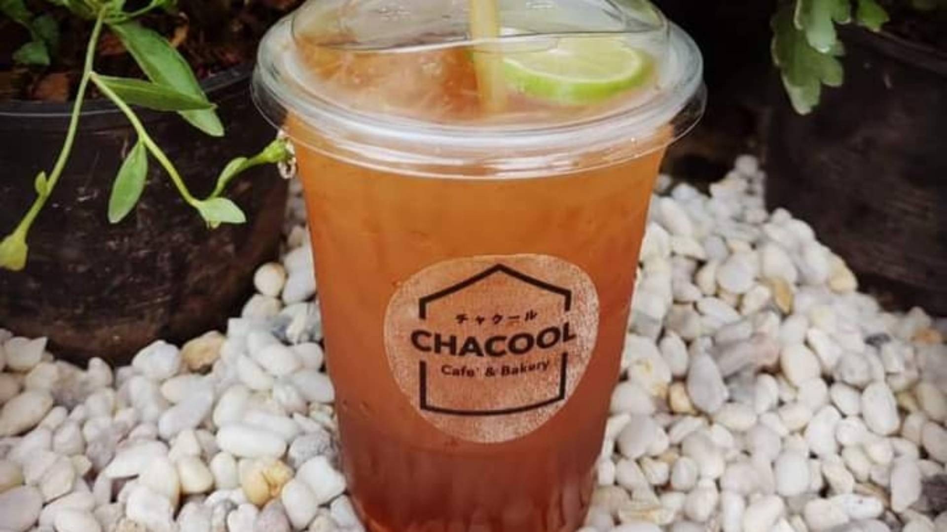 Chacool cafe'&bakerry - สั่งอาหารเดลิเวอรี | Wongnai x LINE MAN