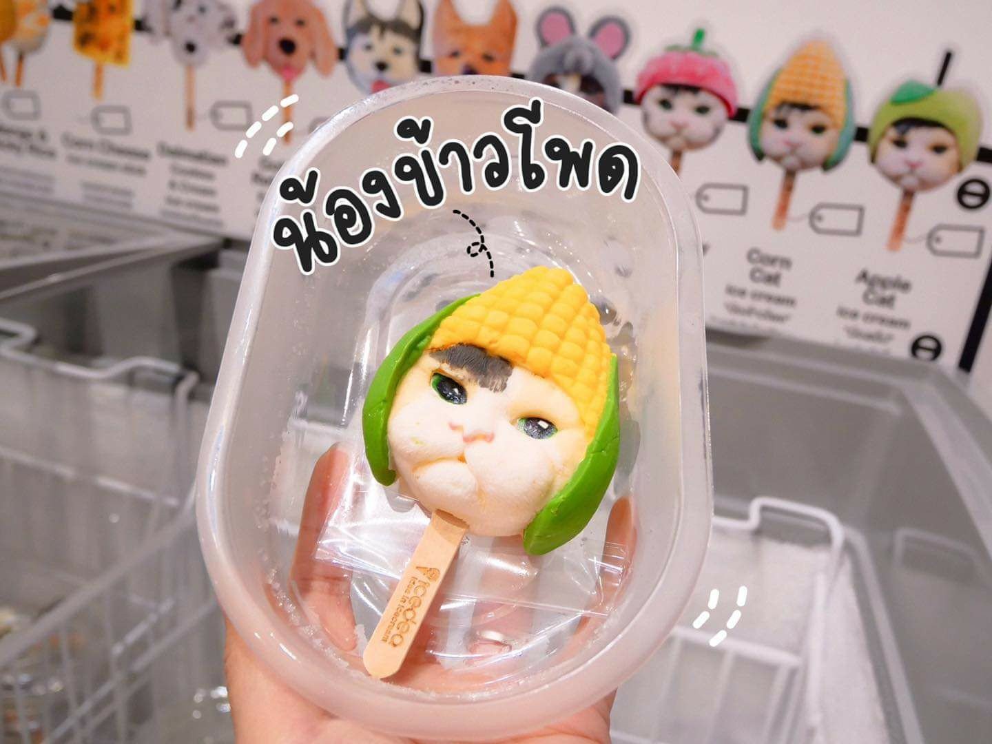 รูป Animal ICE CREAM Terminal 21 Pattaya - Wongnai