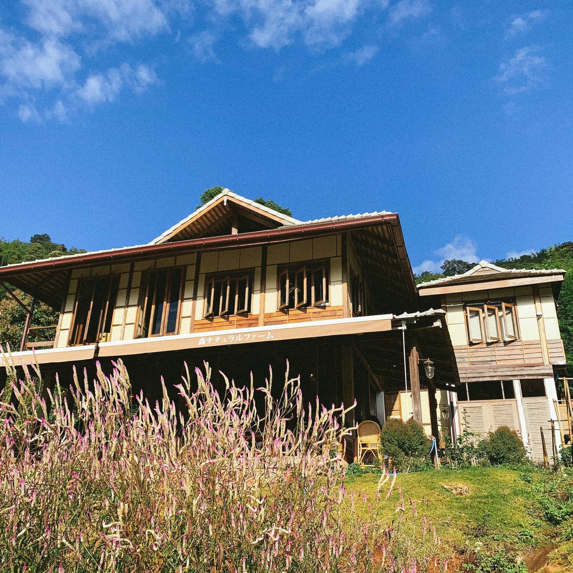 รีวิว Mori Natural Farm - คาเฟ่ที่มีหมา แต่ไม่ใช่คาเฟ่หมานะคะ - Wongnai